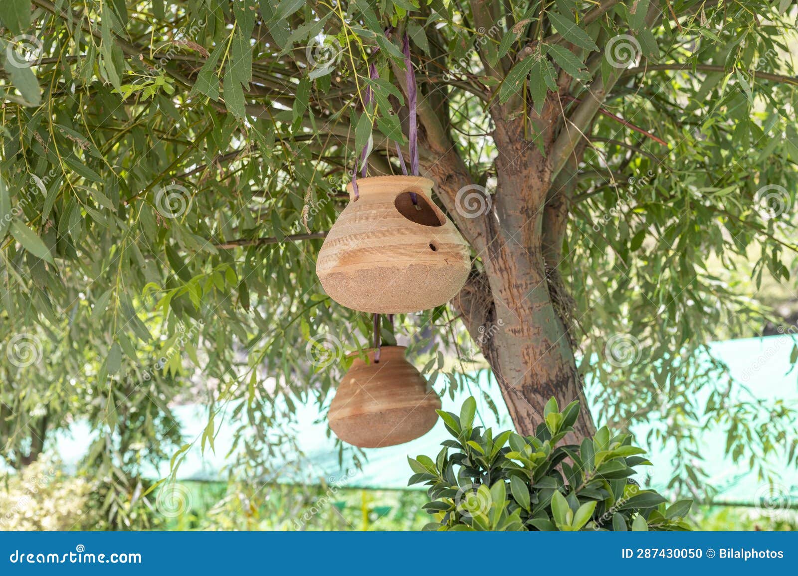 Clay Pot Hanging in Tree for Birdhouse and Nest Stock Photo - Image of ...