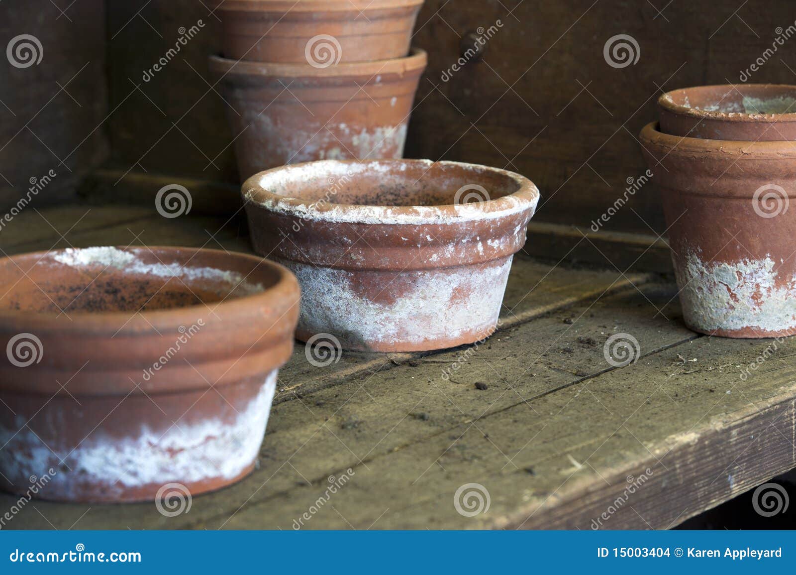 Clay Pots stock photo. Image of garden, terracotta, victorian - 15003404
