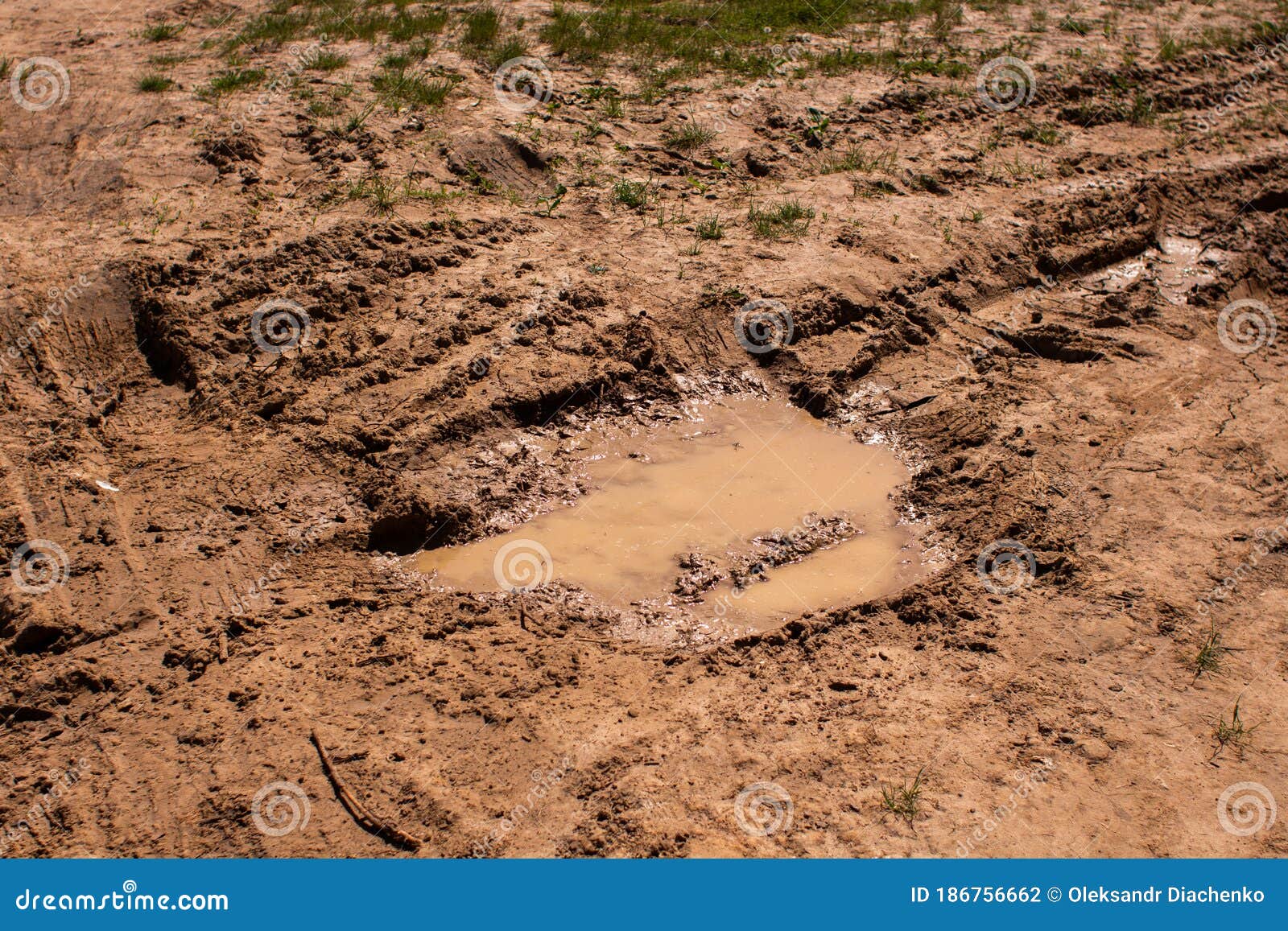 Clay Puddle of Water after Rain Stock Photo - Image of puddles, green ...