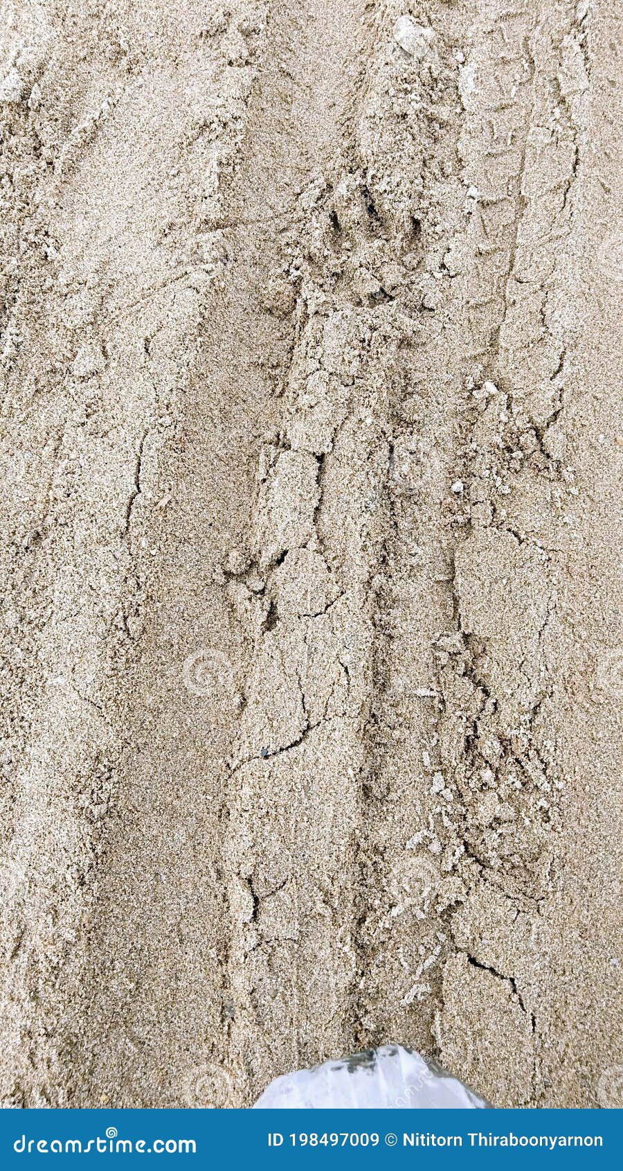 A Clay Road And An Earthen Road In The Village, Not An Asphalt Road ...