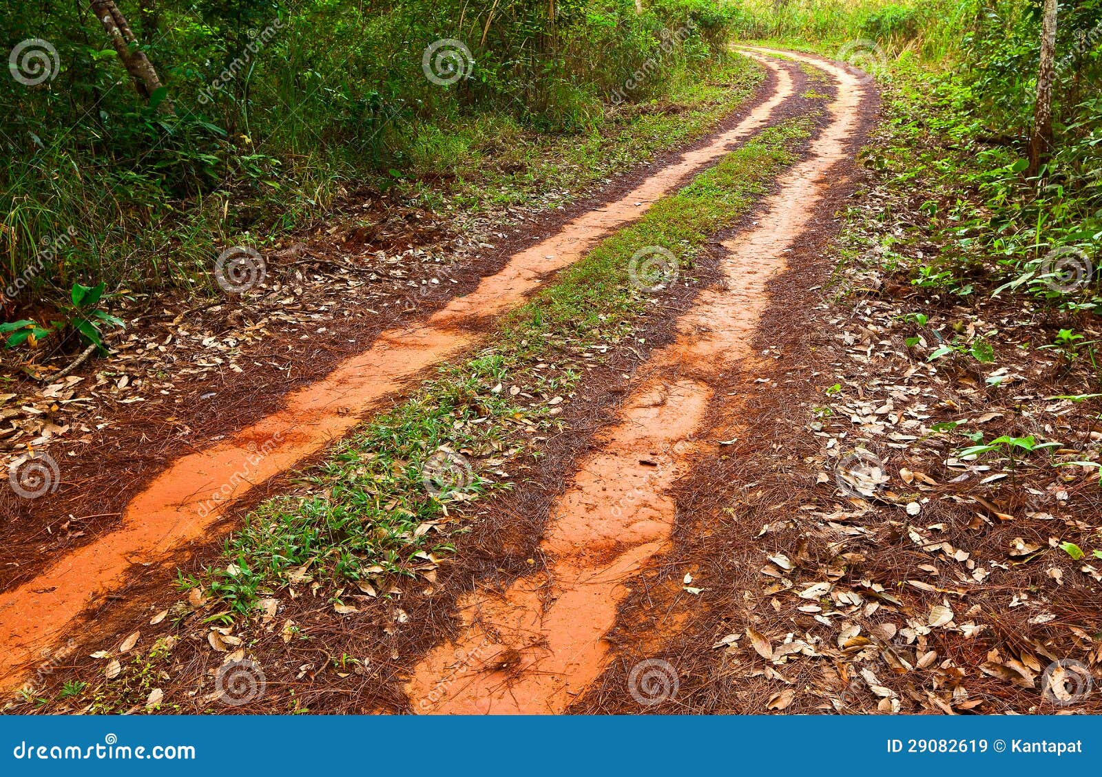 Clay road in forest. stock image. Image of quiet, rock - 29082619