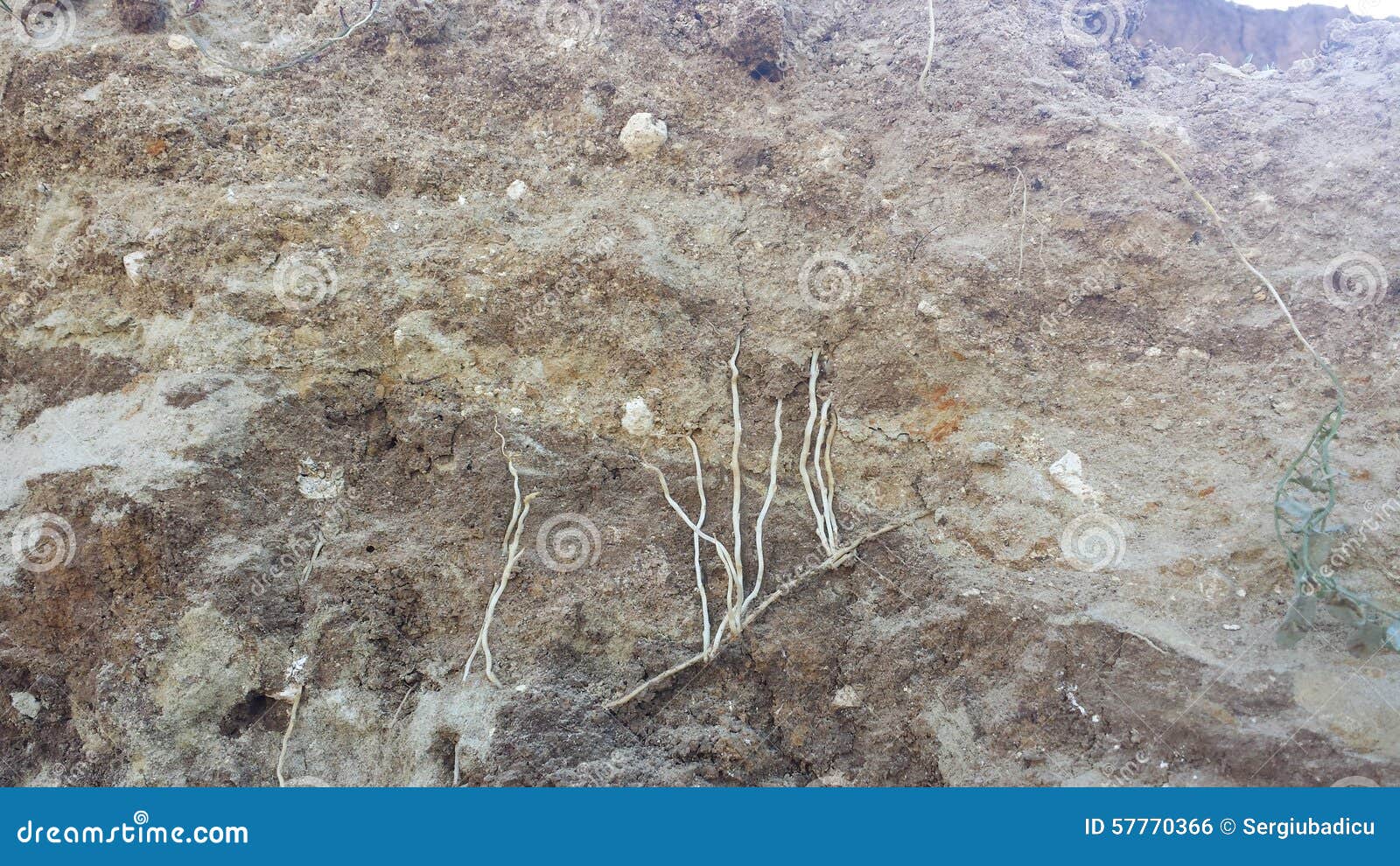 Clay Rock Layers fotografia stock. Immagine di territorio - 57770366