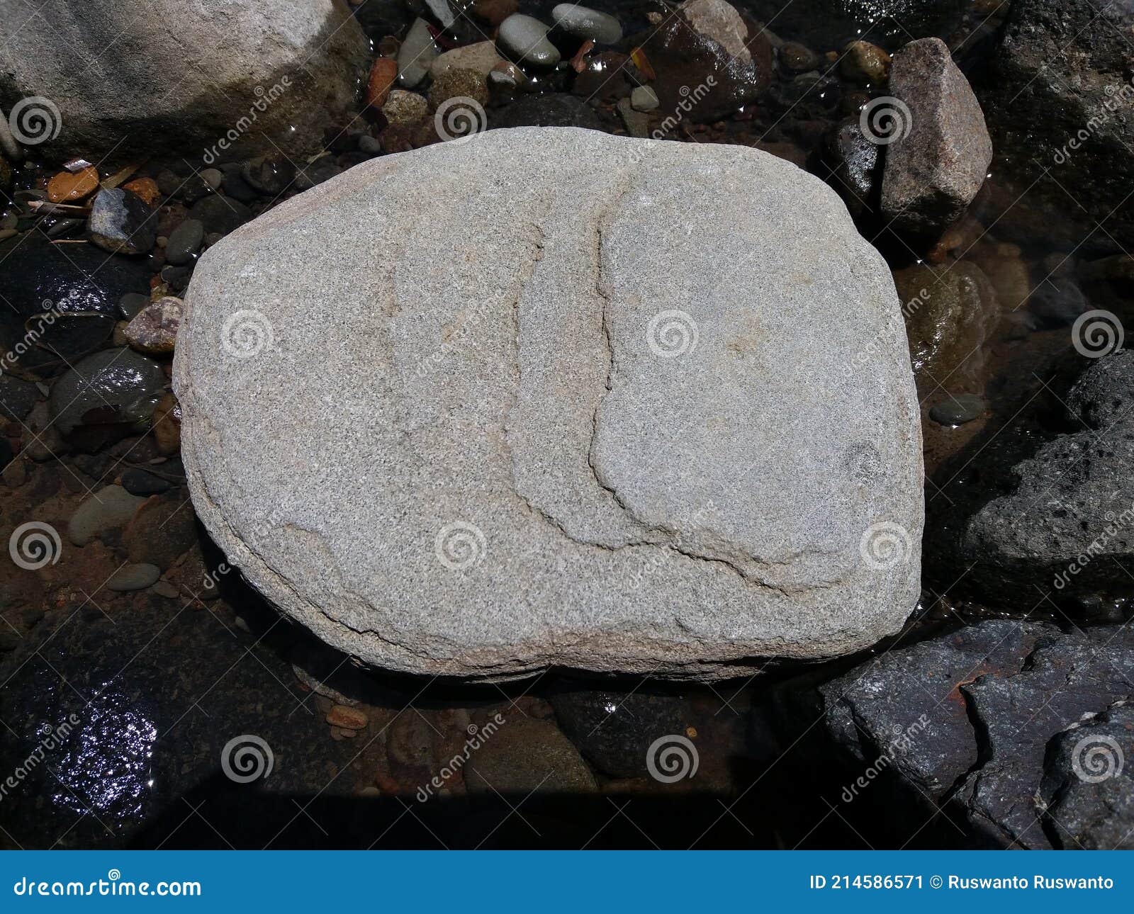 Clay rock in the river stock image. Image of wood, forms - 214586571