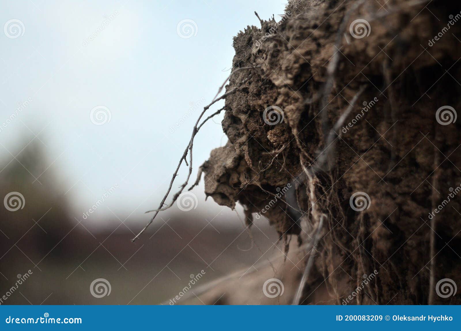 Photo of Clay Soil with Grass Roots Stock Image - Image of dirt, earth ...