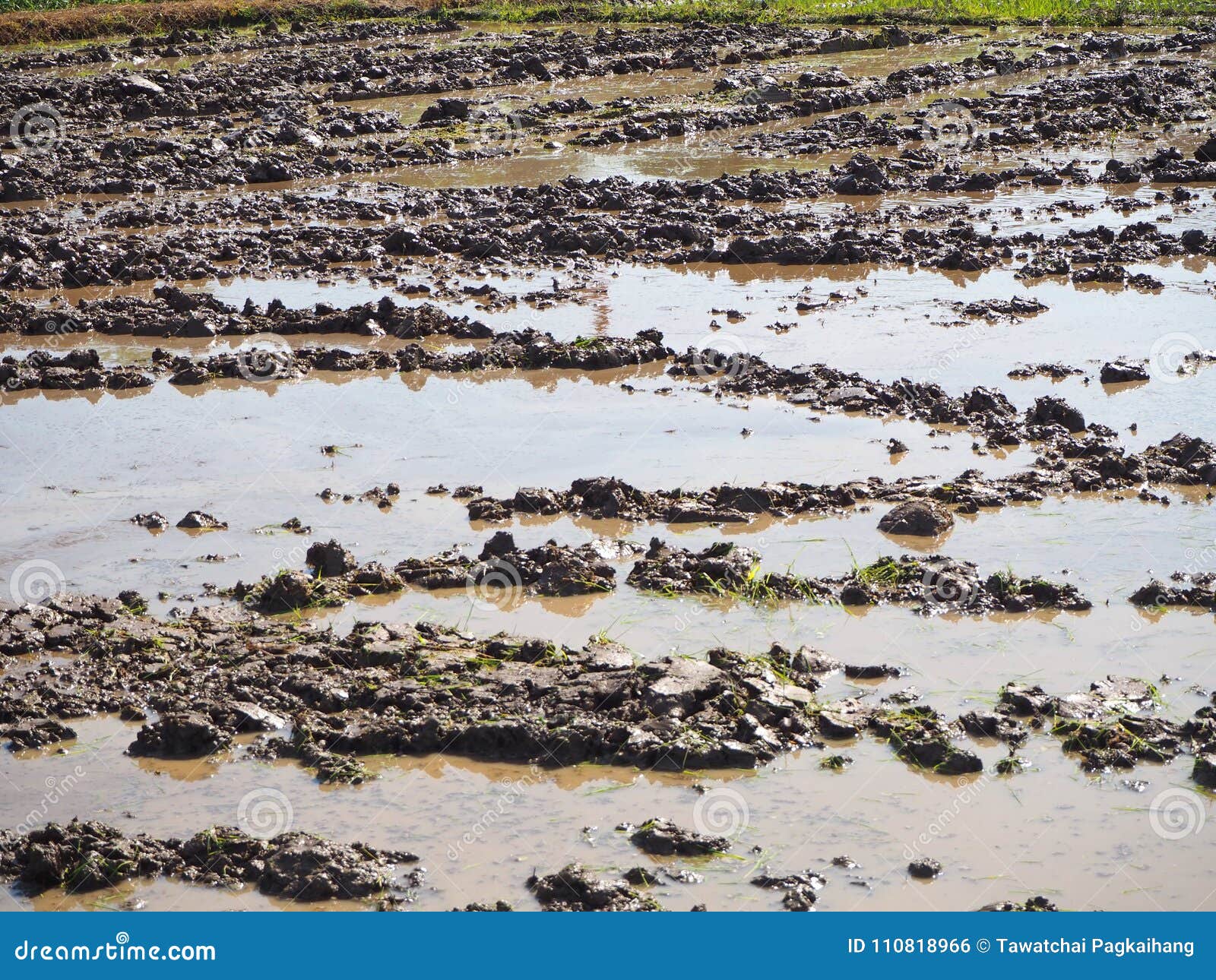 Clay stock photo. Image of equipment, farm, farming - 110818966
