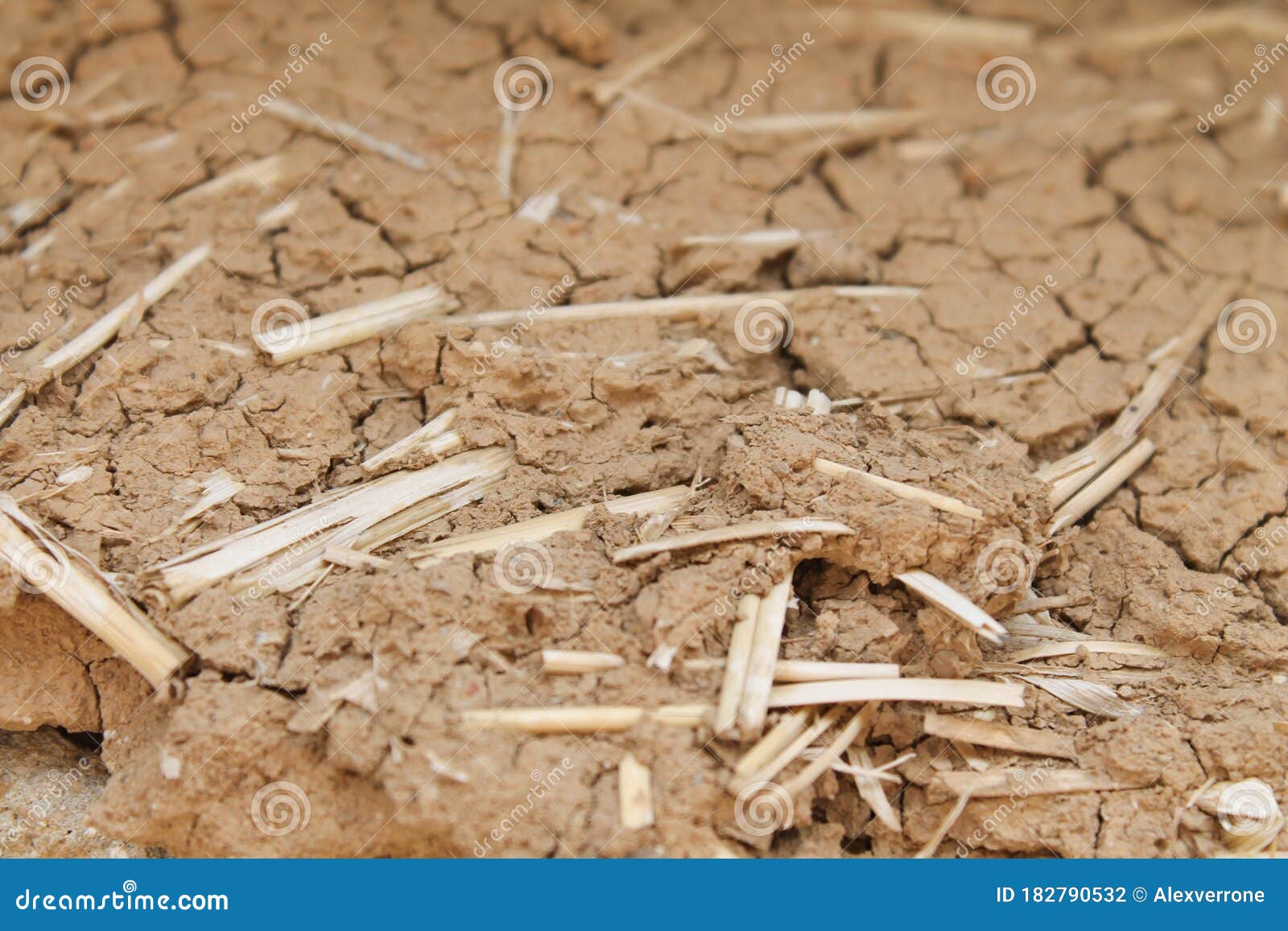The Texture of Clay Soil with the Addition of Straw. Stock Photo ...