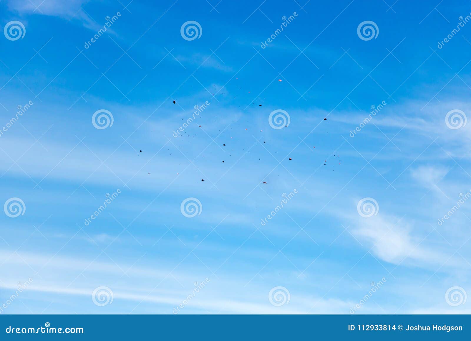 Clay Target Shot and Exploding Stock Photo - Image of sport, pigeon ...