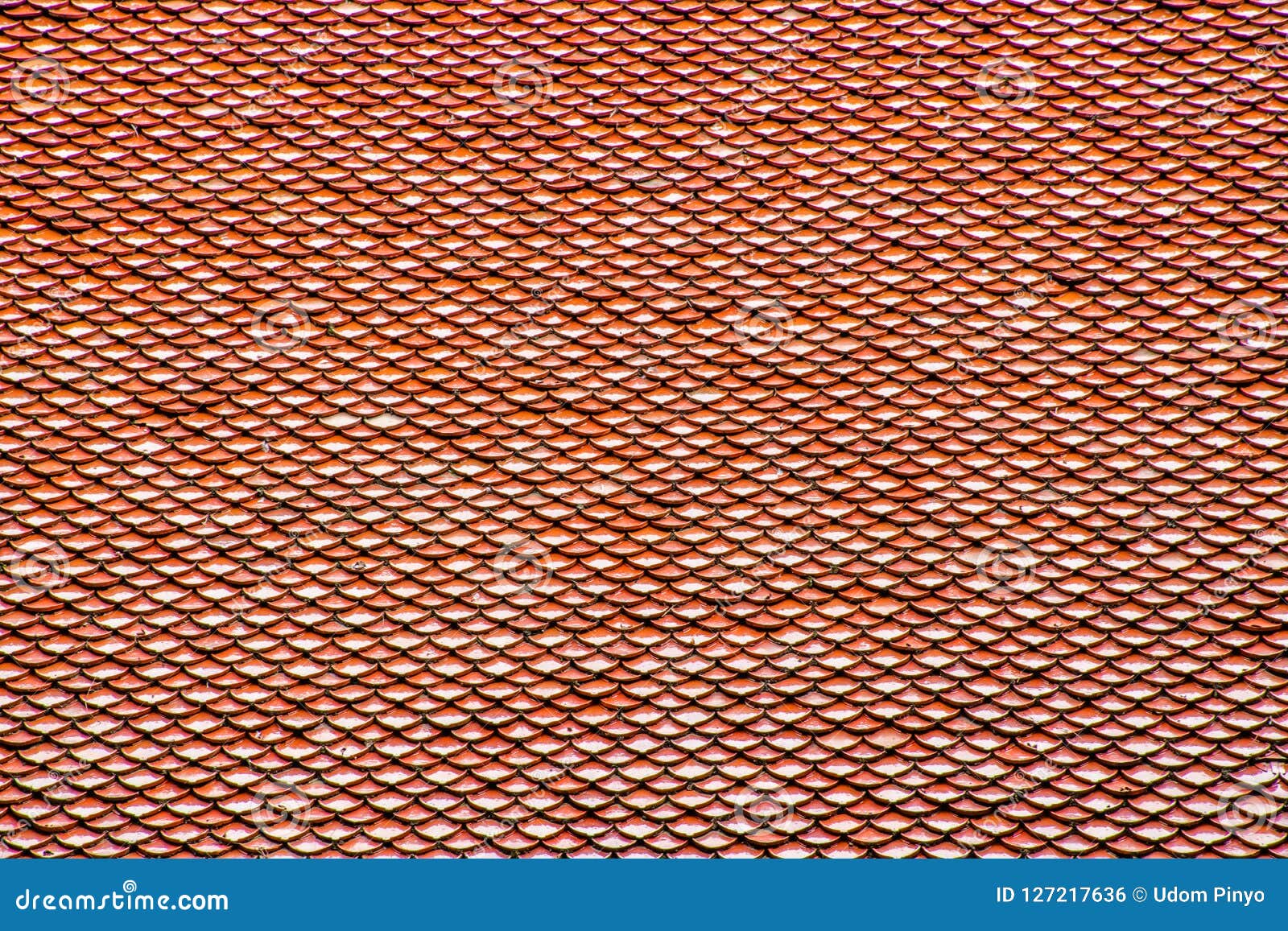 Clay Tile Roof with Rounded Ends. Stock Photo - Image of closeup ...