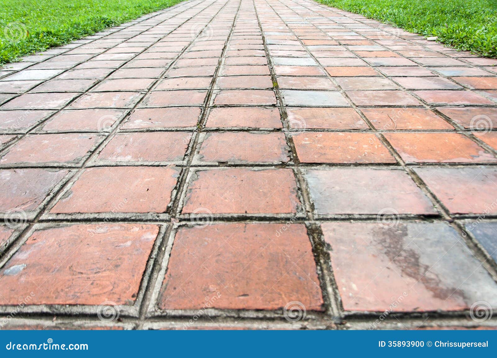 Clay Tiles Walkway and Grass Stock Photo - Image of grassland, grass ...