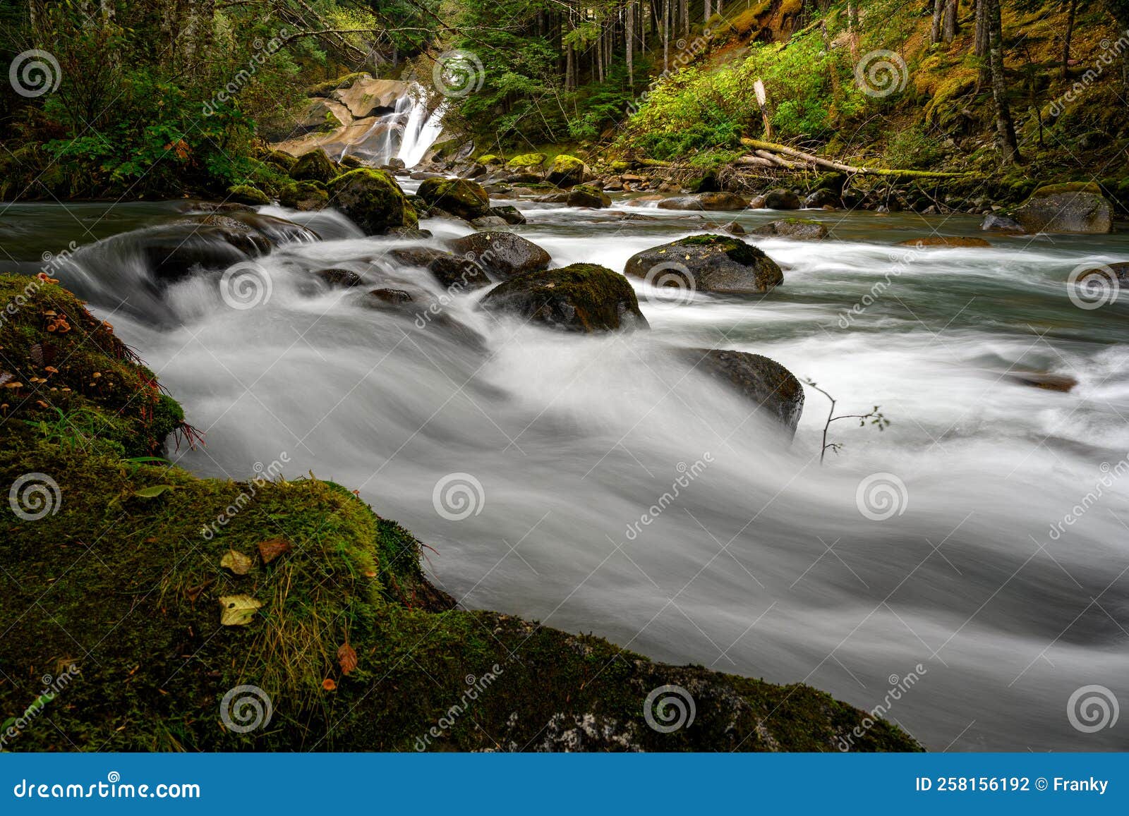 Clayton Falls in Bella Coola Stock Photo - Image of coastal, horribilis ...