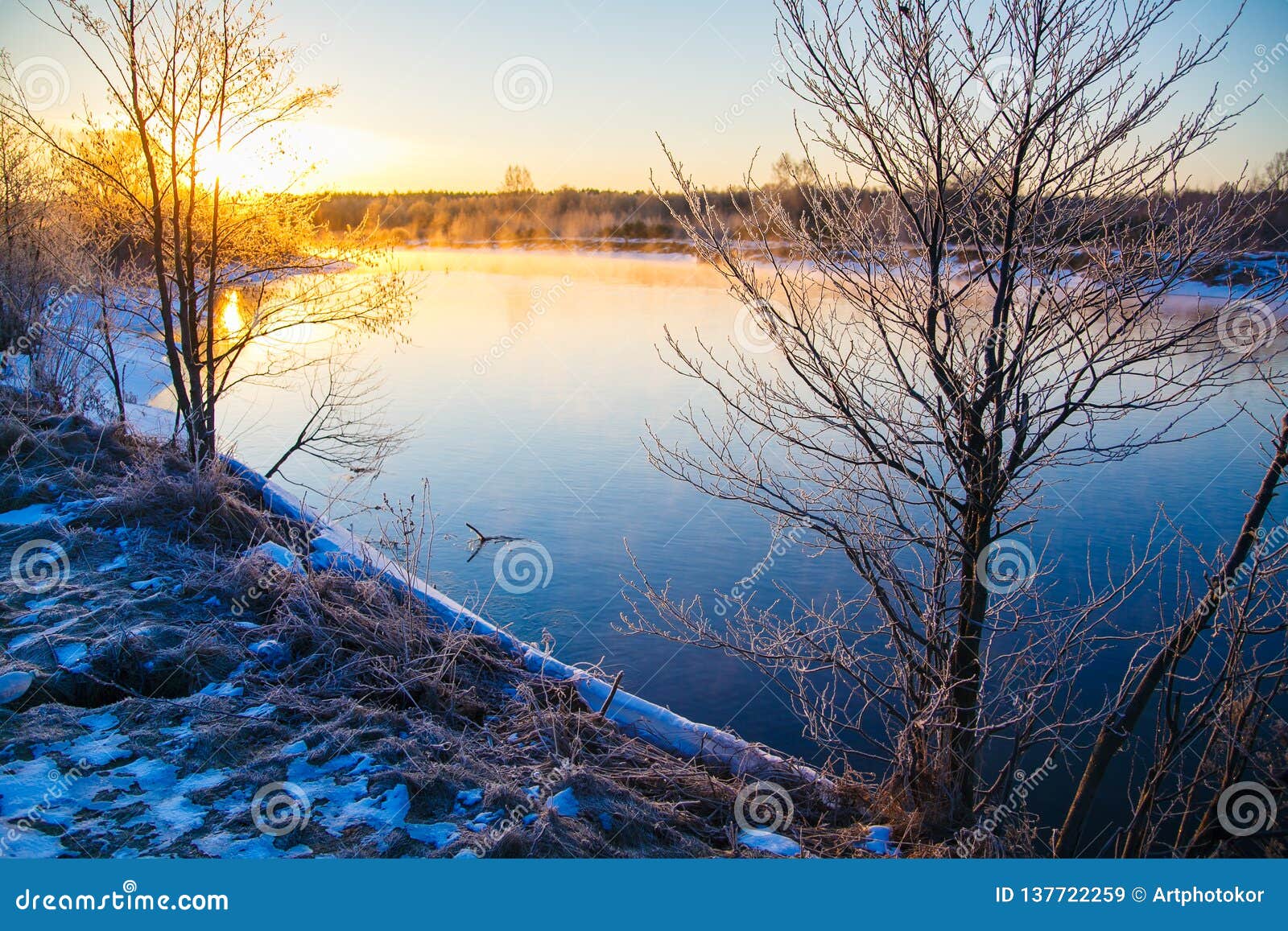 Clean Air Concept. Trees on Shore at Sunrise. Spring Landscape Stock ...