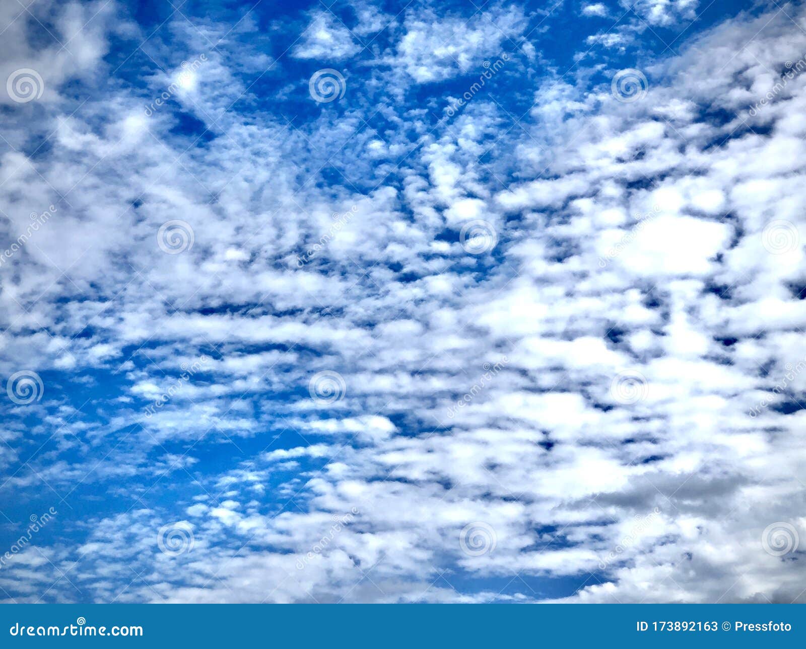 Clean air oxigen stock image. Image of ecology, environment - 173892163