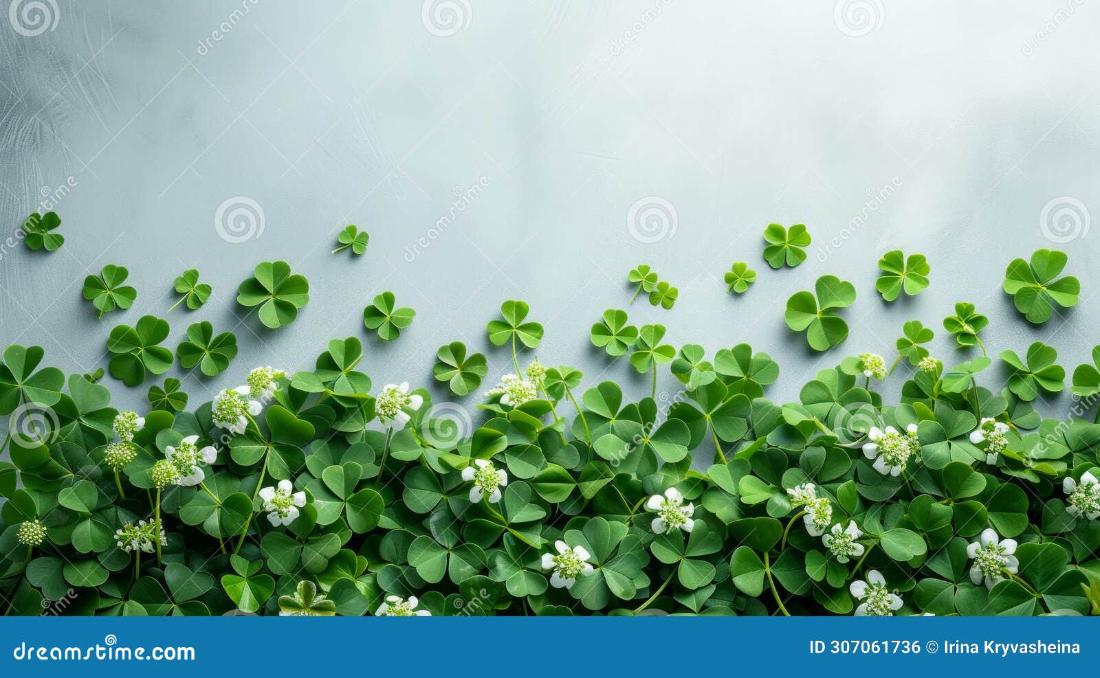 Clean Backdrop Adorned with Minimalist Shamrock Motifs Stock Photo ...