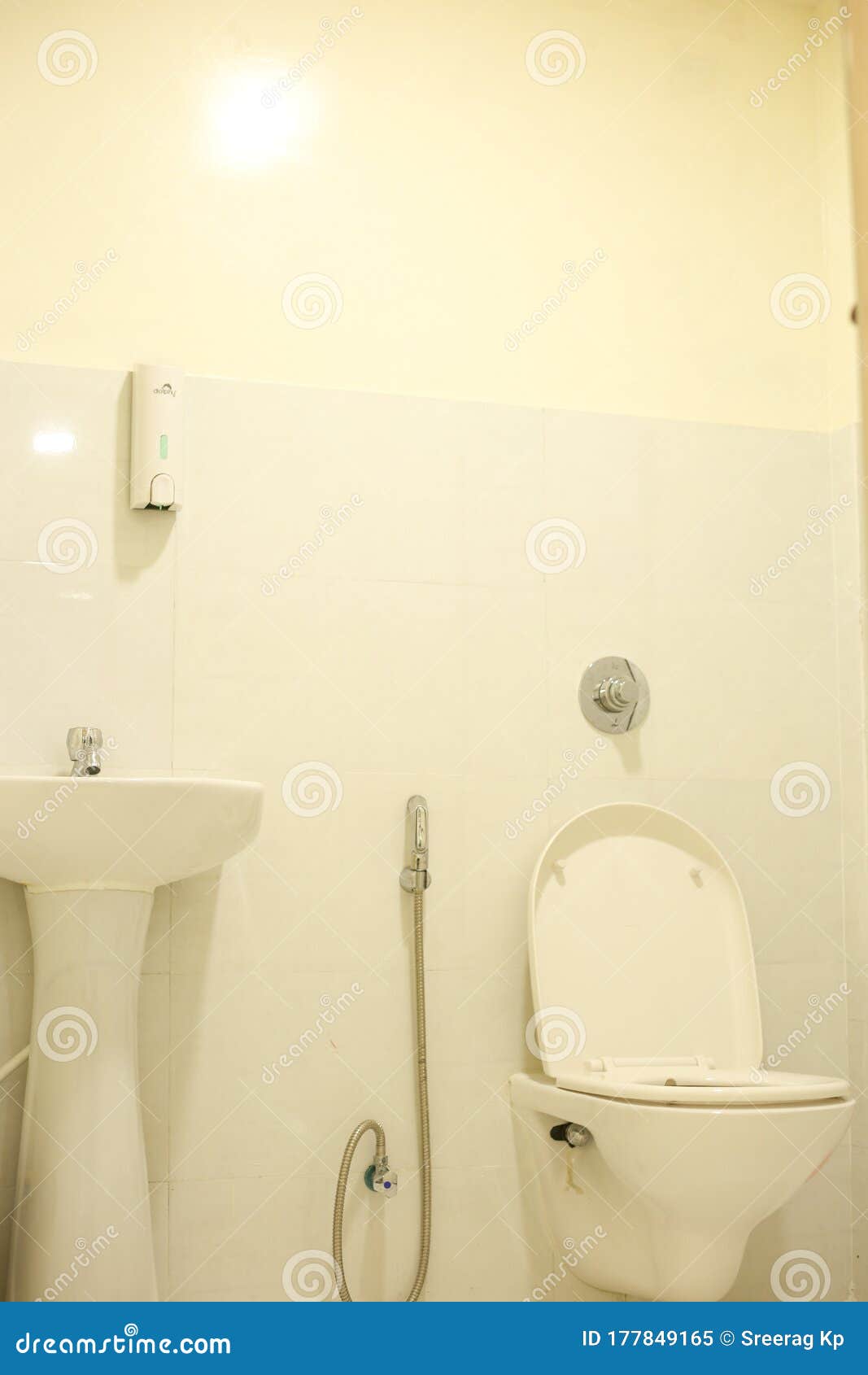 Clean Bathroom Interior, Wash Base Stock Image - Image of base, green ...