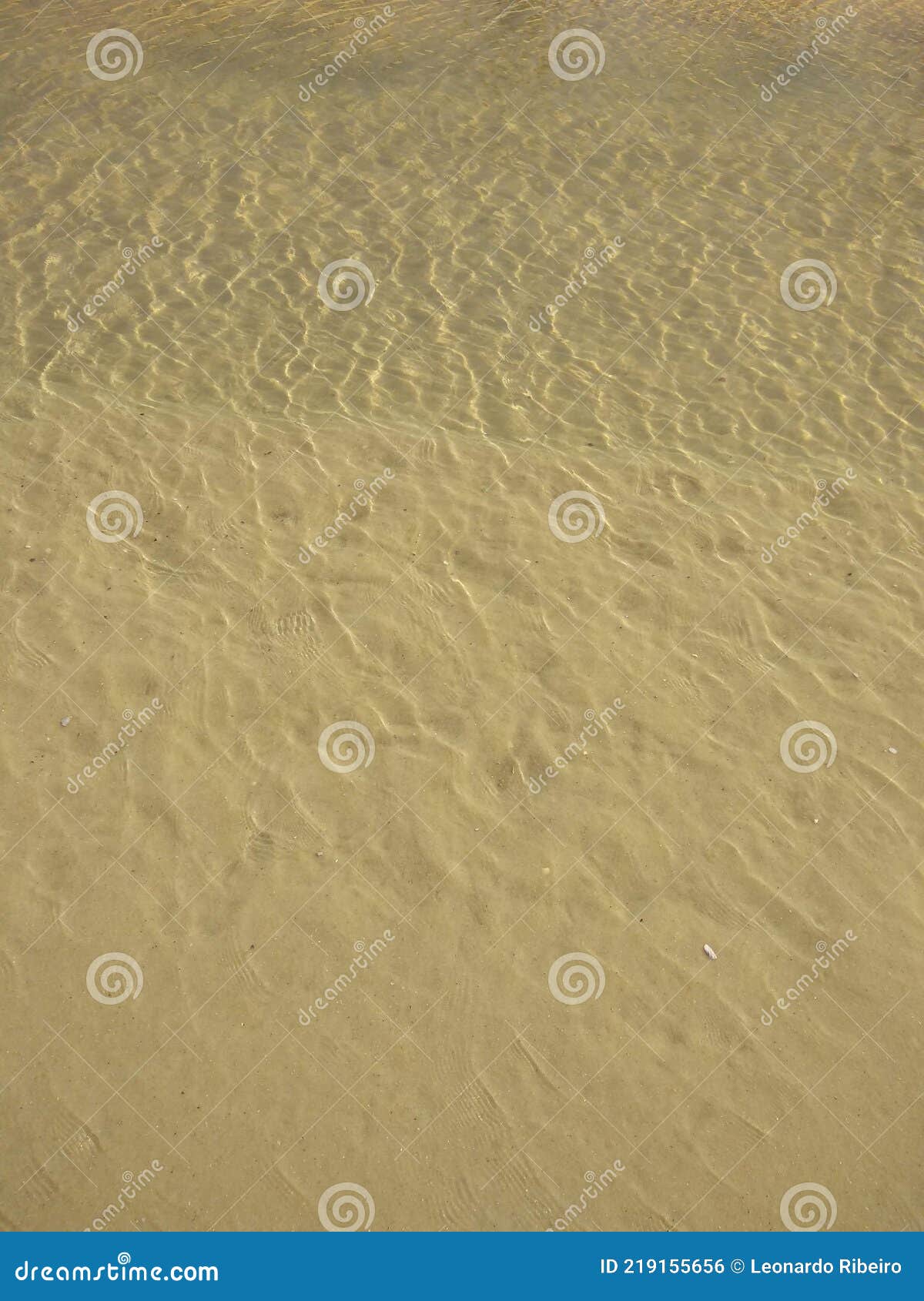 Clean Beach Water with Nothing Stock Photo - Image of water, circle ...