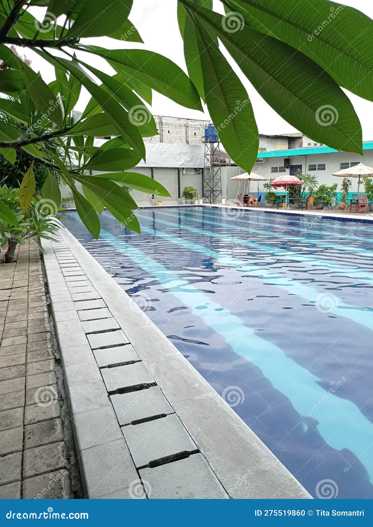Clean and Beautiful Swimming Pool in the City Stock Photo - Image of ...