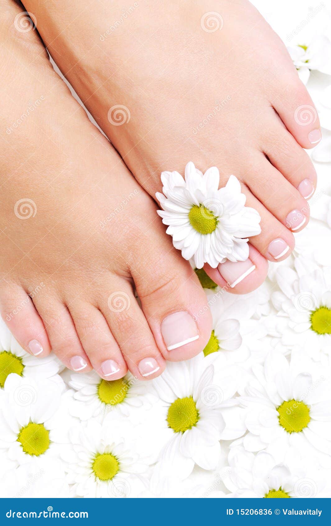 Clean and Beautiful Woman S Feet Stock Photo - Image of pedicure, aroma ...
