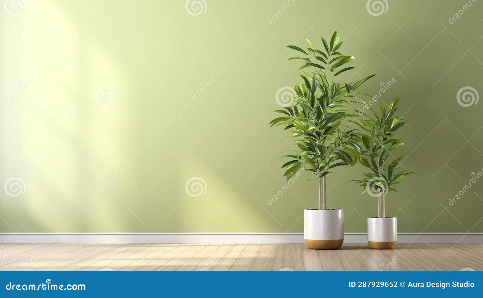 Clean Blank Sage Green Wall with Tropical Tree in Green Modern Design ...