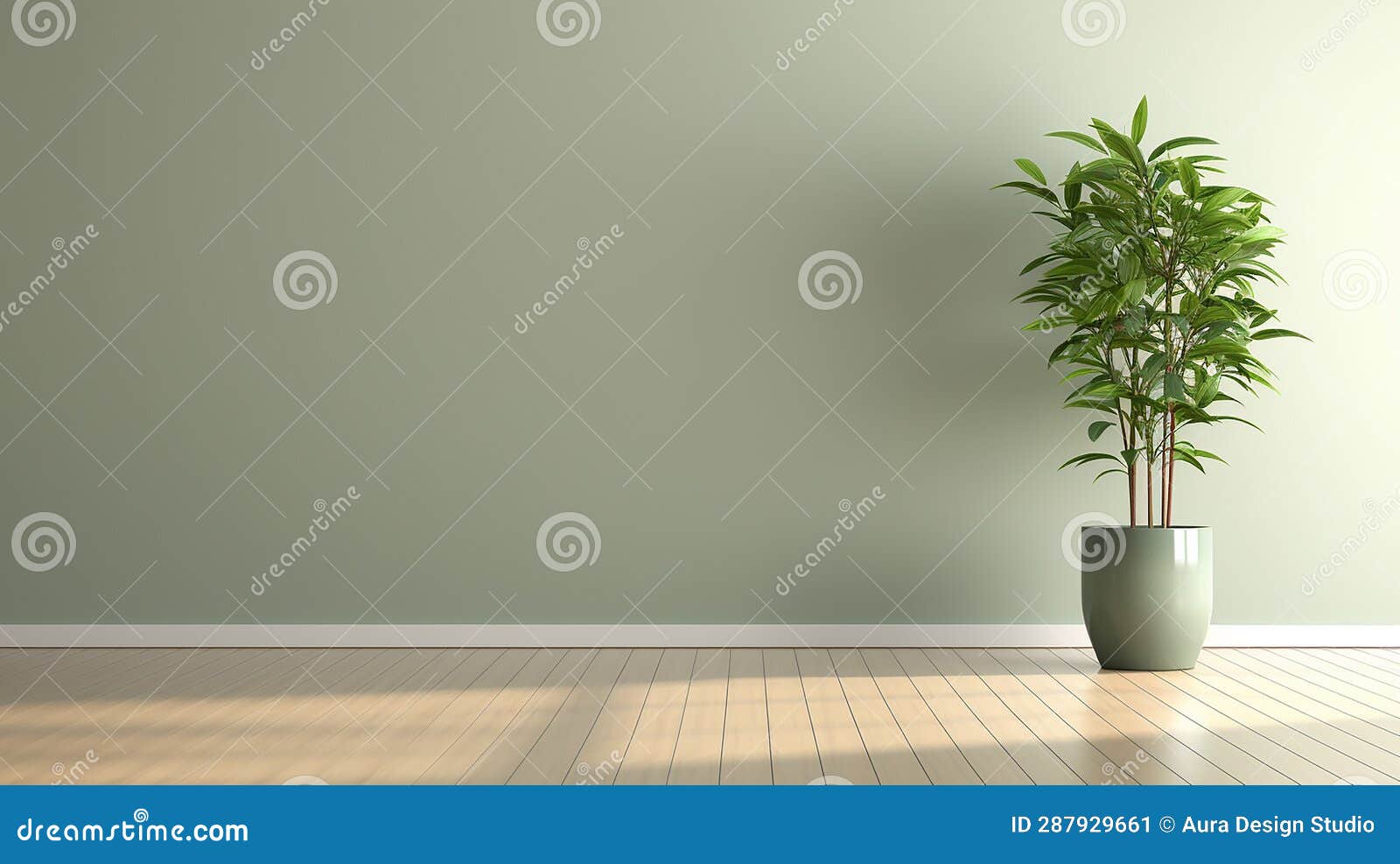 Clean Blank Sage Green Wall with Tropical Tree in Green Modern Design ...