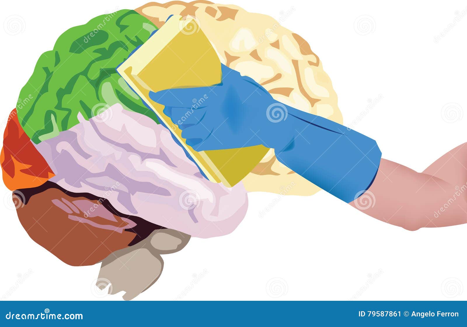 Clean the brain stock vector. Illustration of cleaning - 79587861