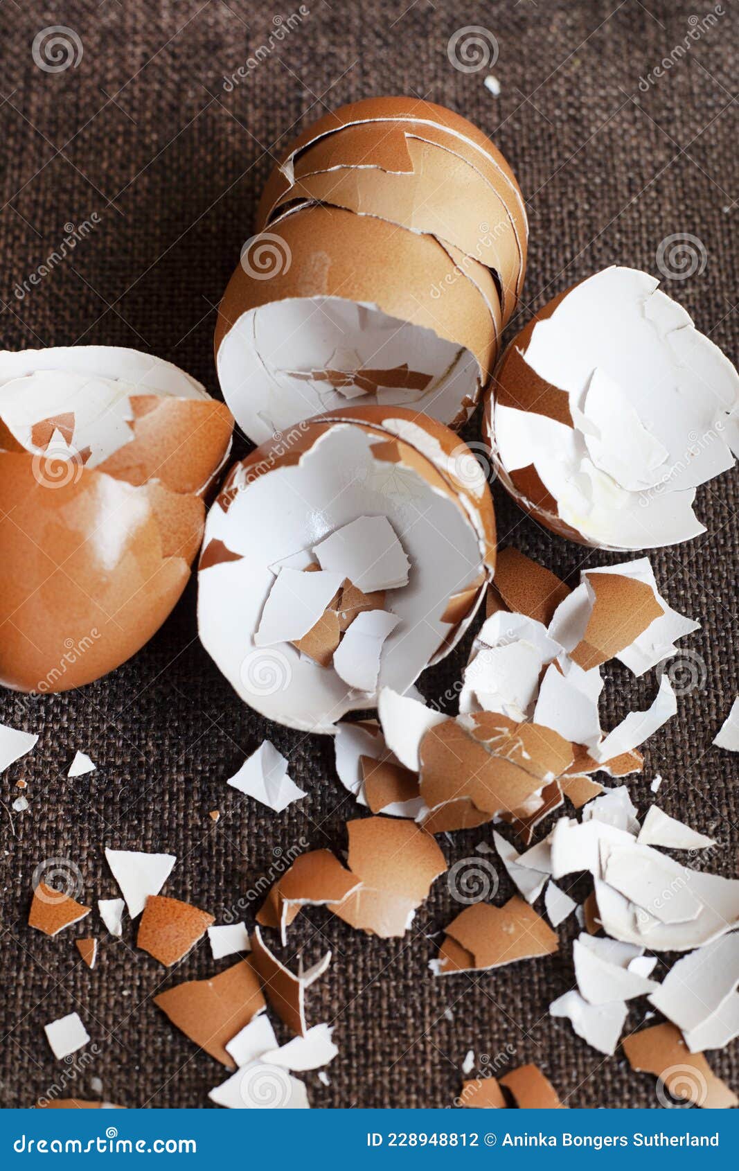 Clean and Broken Eggshells on Rough Textured Surface Stock Photo ...