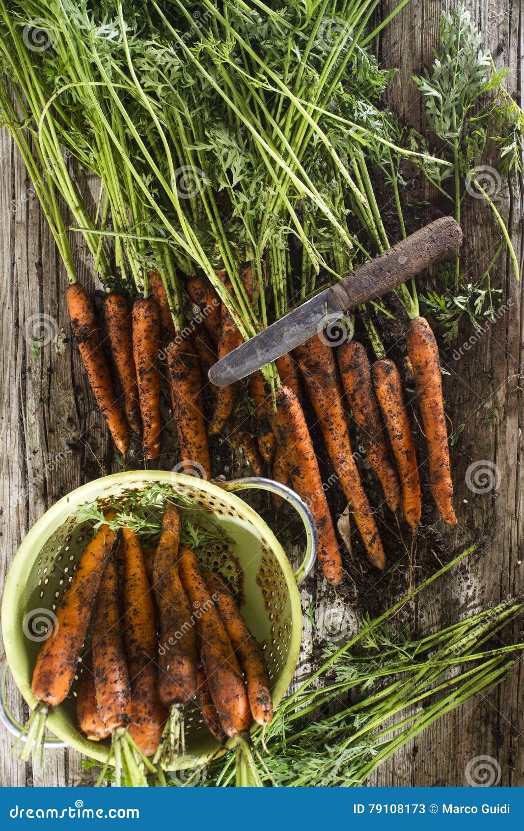 Clean a bunch of carrots stock image. Image of deck, green - 79108173