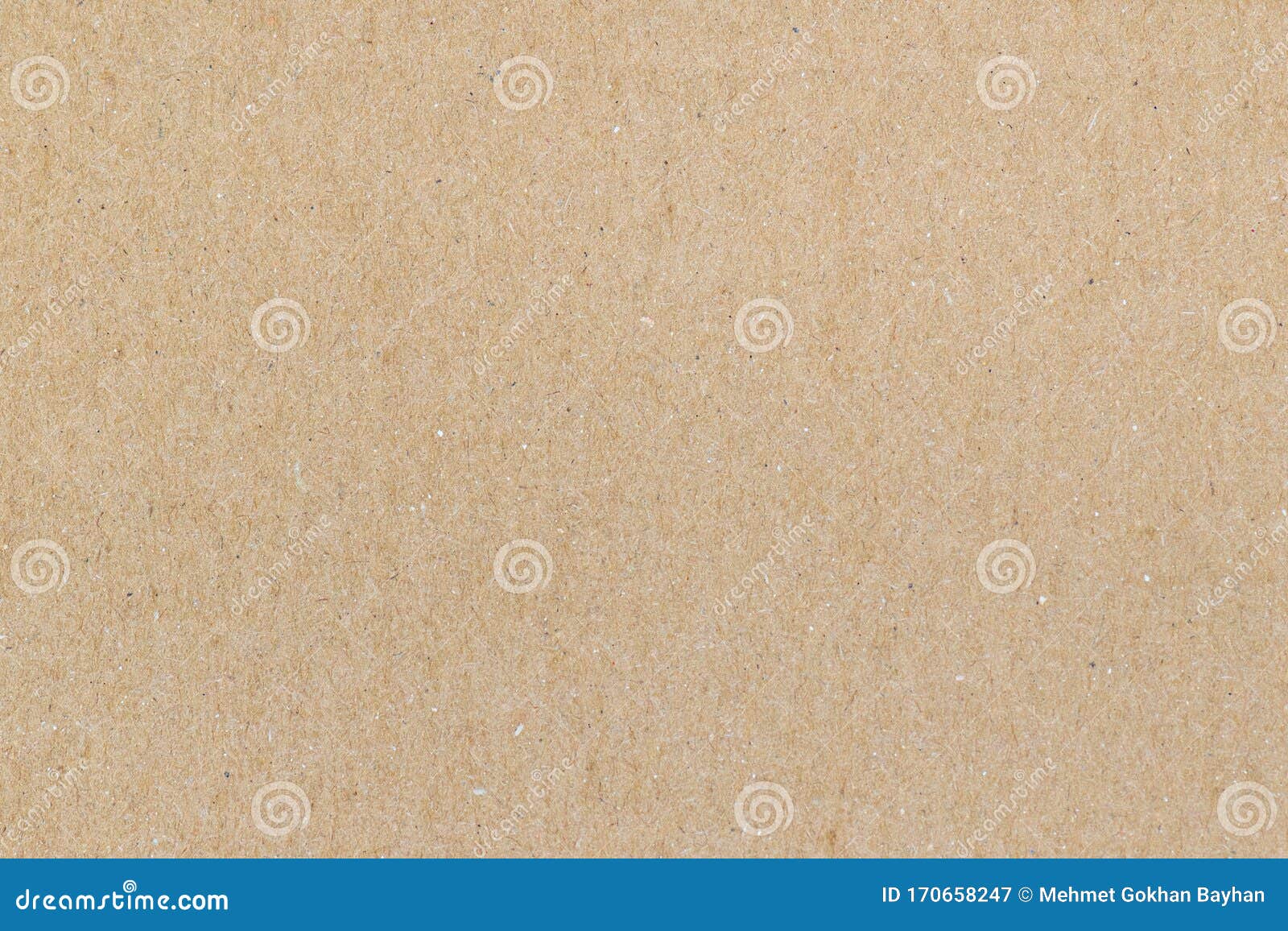 Clean Cardboard Texture with Good Details. Macro Shot of Unused Clean ...