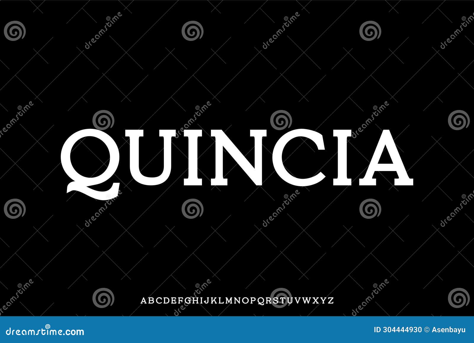 Clean Classic Beautiful Serif Alphabet Display Font Vector Stock Vector ...