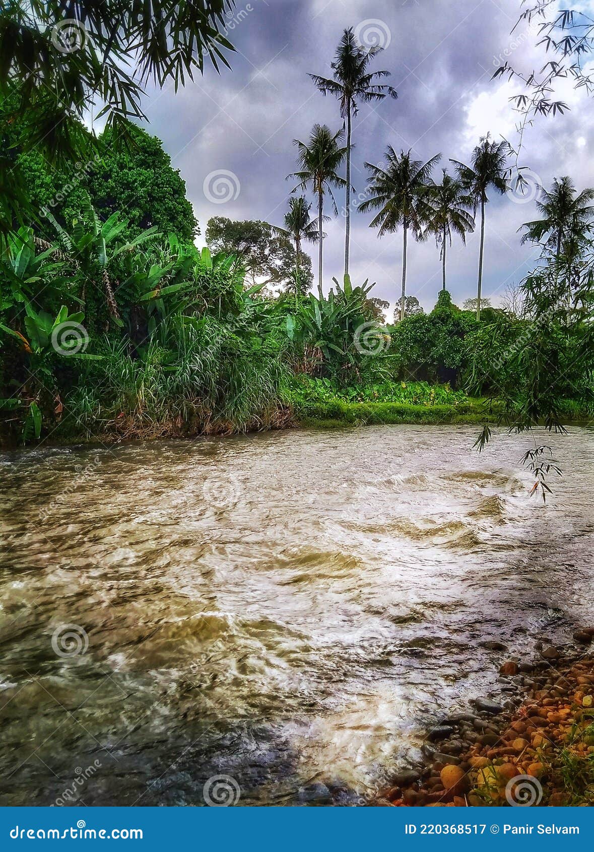 A Clean and Clear River in a Village Stock Image - Image of wetland ...