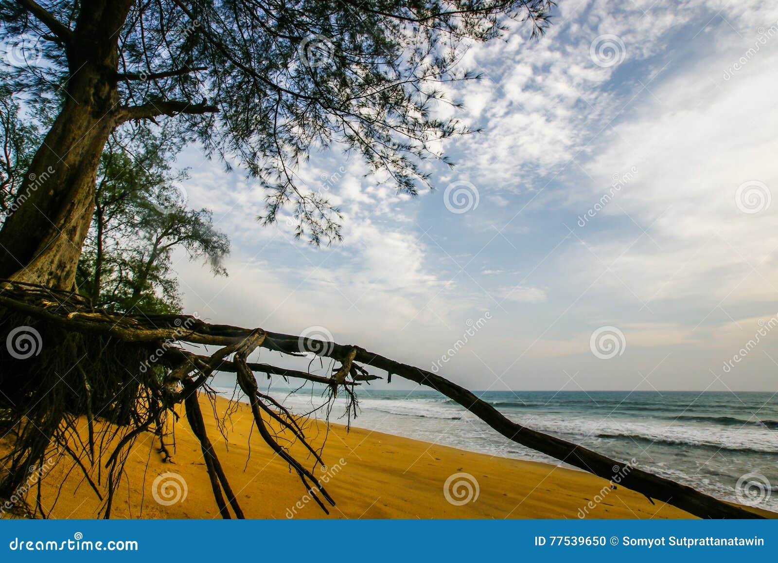 Clean and Clear Sand Beach Blue Sky Stock Photo - Image of paradise ...