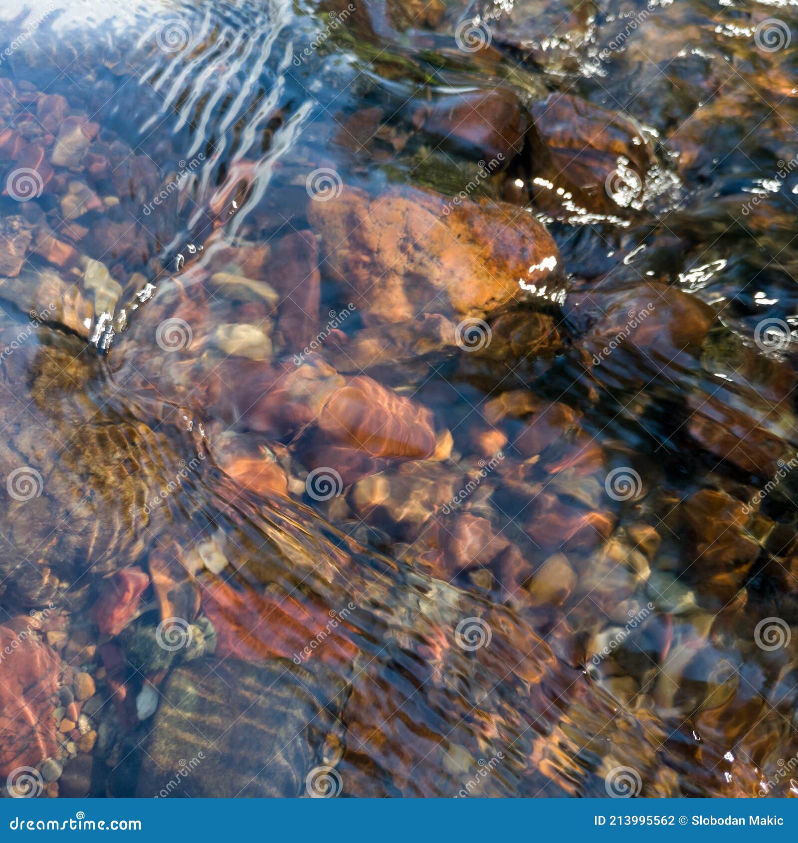 Clean and Clear Water in Stream, Stones at the Bottom of Shallow Creek ...