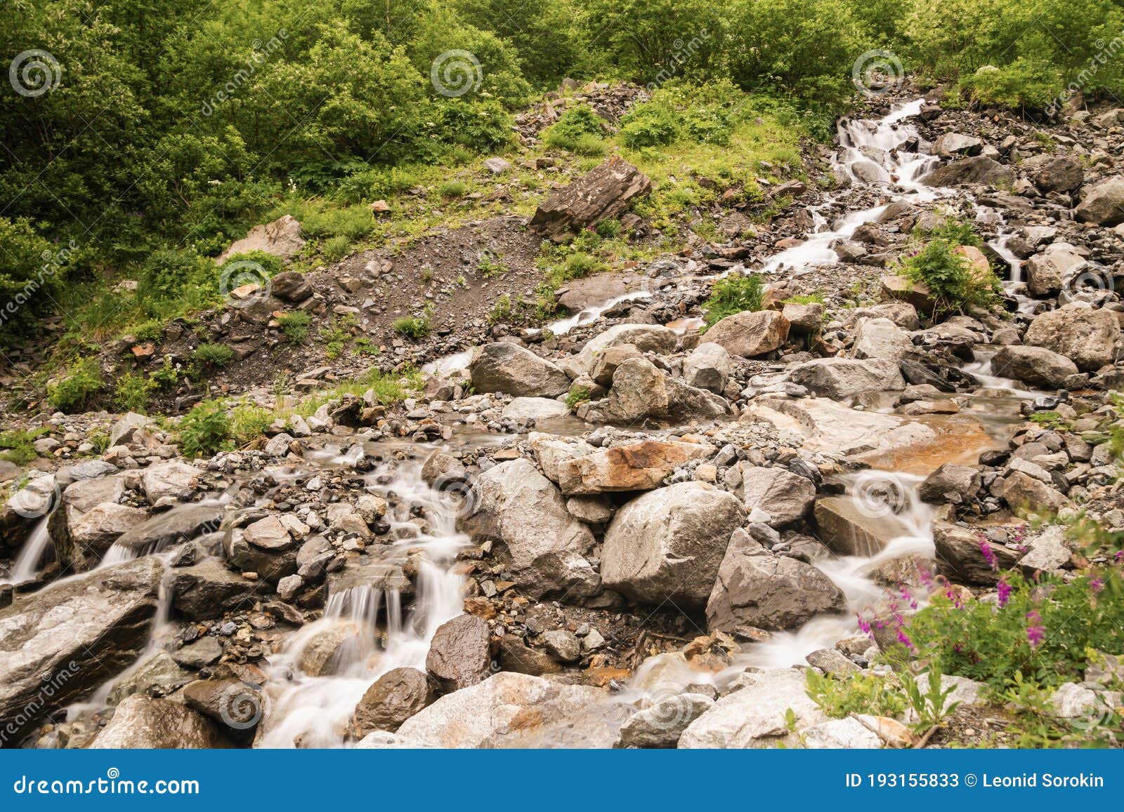 Clean Cold Fresh Water Streams in Mountain River Stock Image - Image of ...