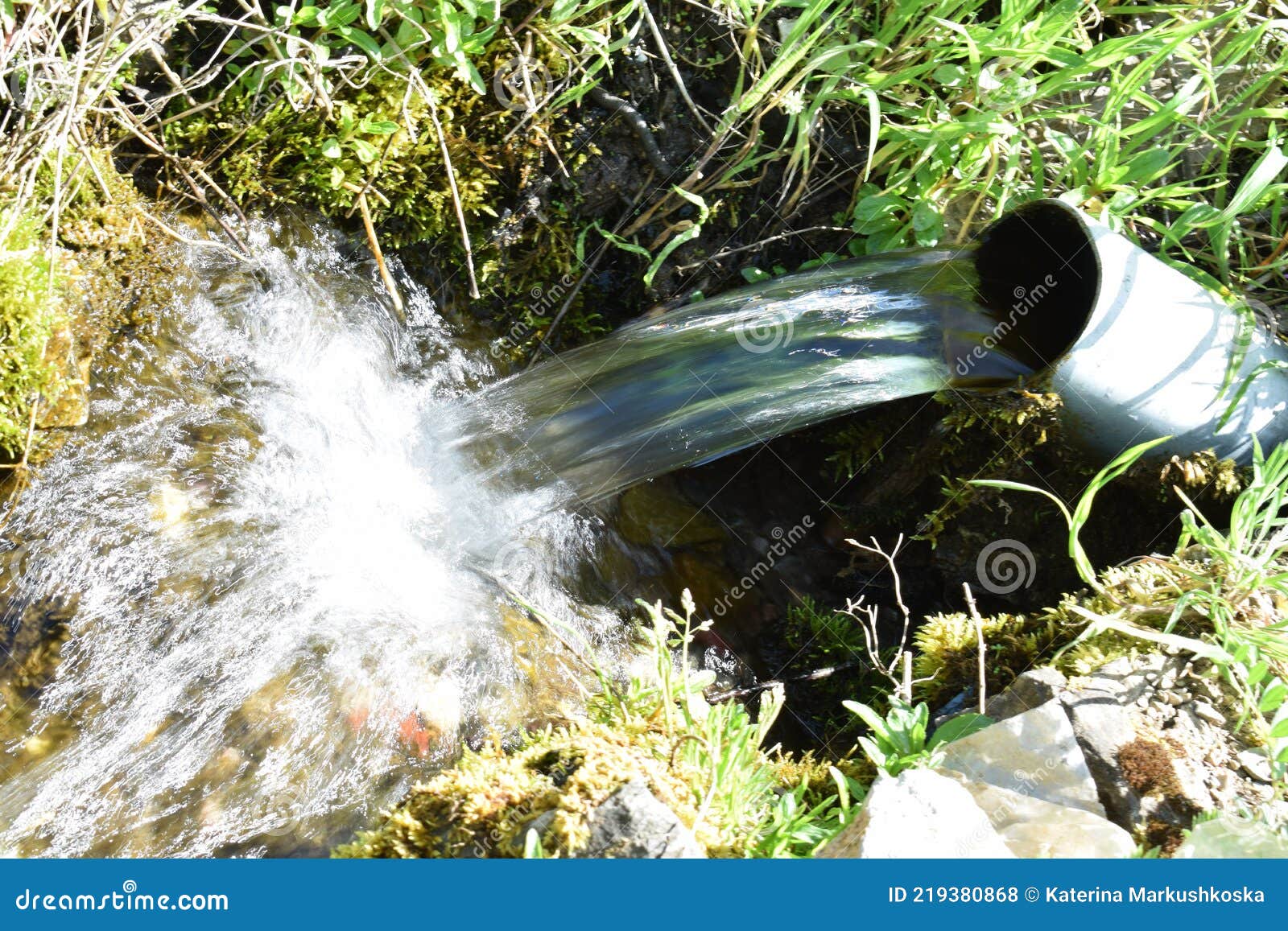Clean cold water stock photo. Image of waterfall, flower - 219380868