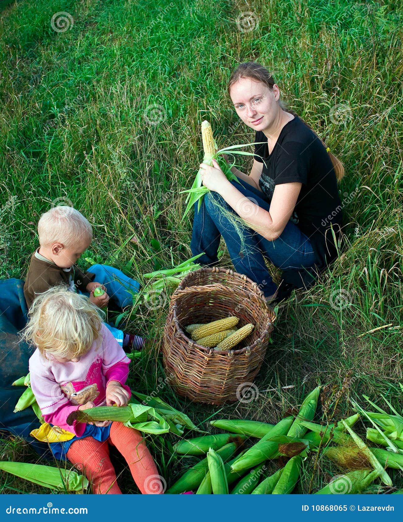 Clean corn stock image. Image of horizon, green, flower - 10868065