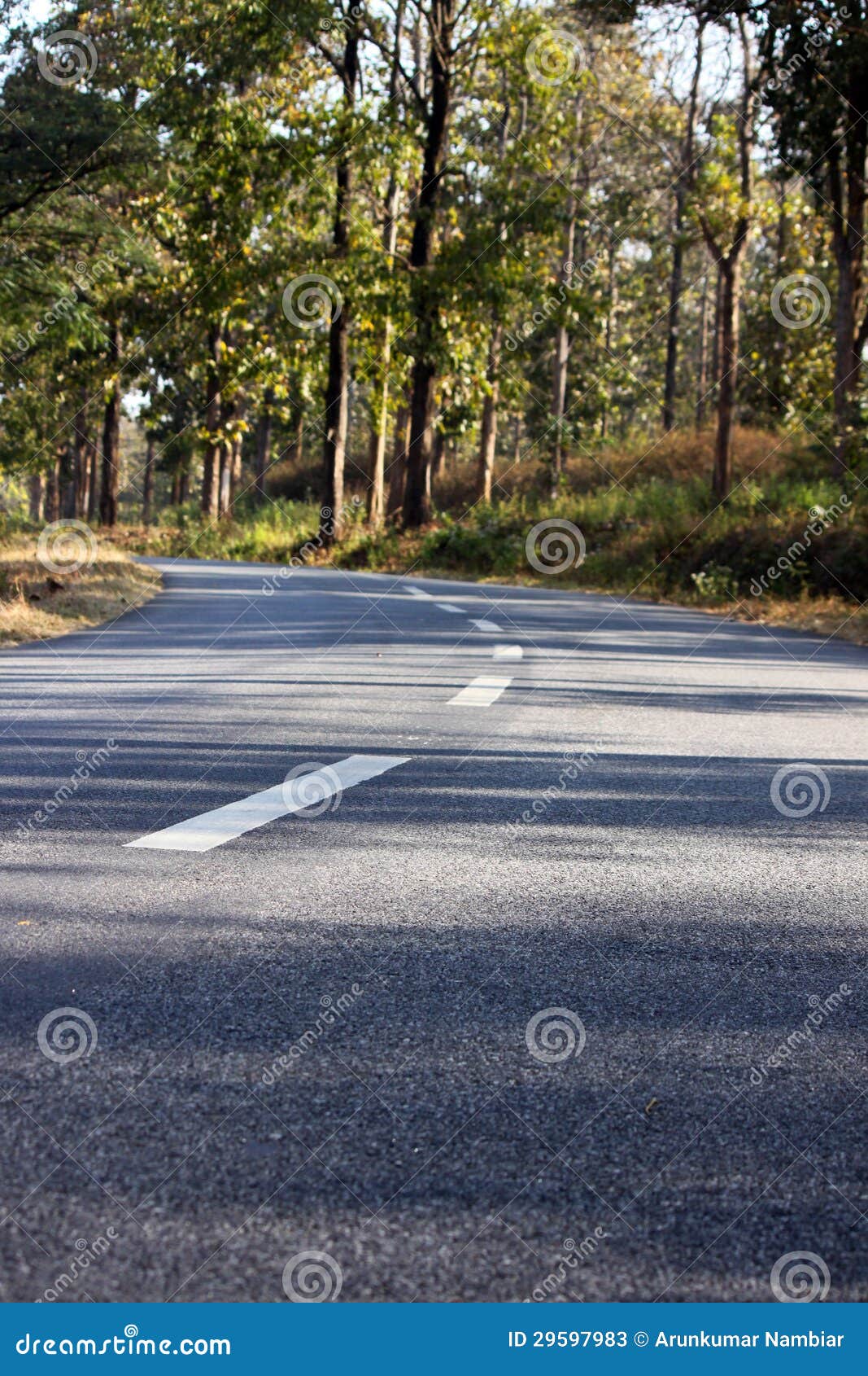 Clean curve Road stock image. Image of drive, mountain - 29597983