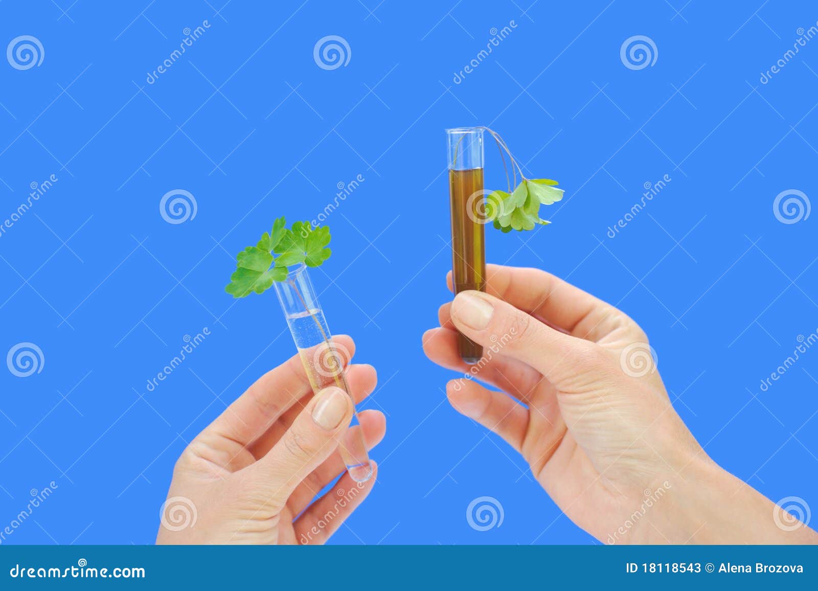 Clean and Dirty Water Samples with Fresh and Wilte Stock Image - Image ...