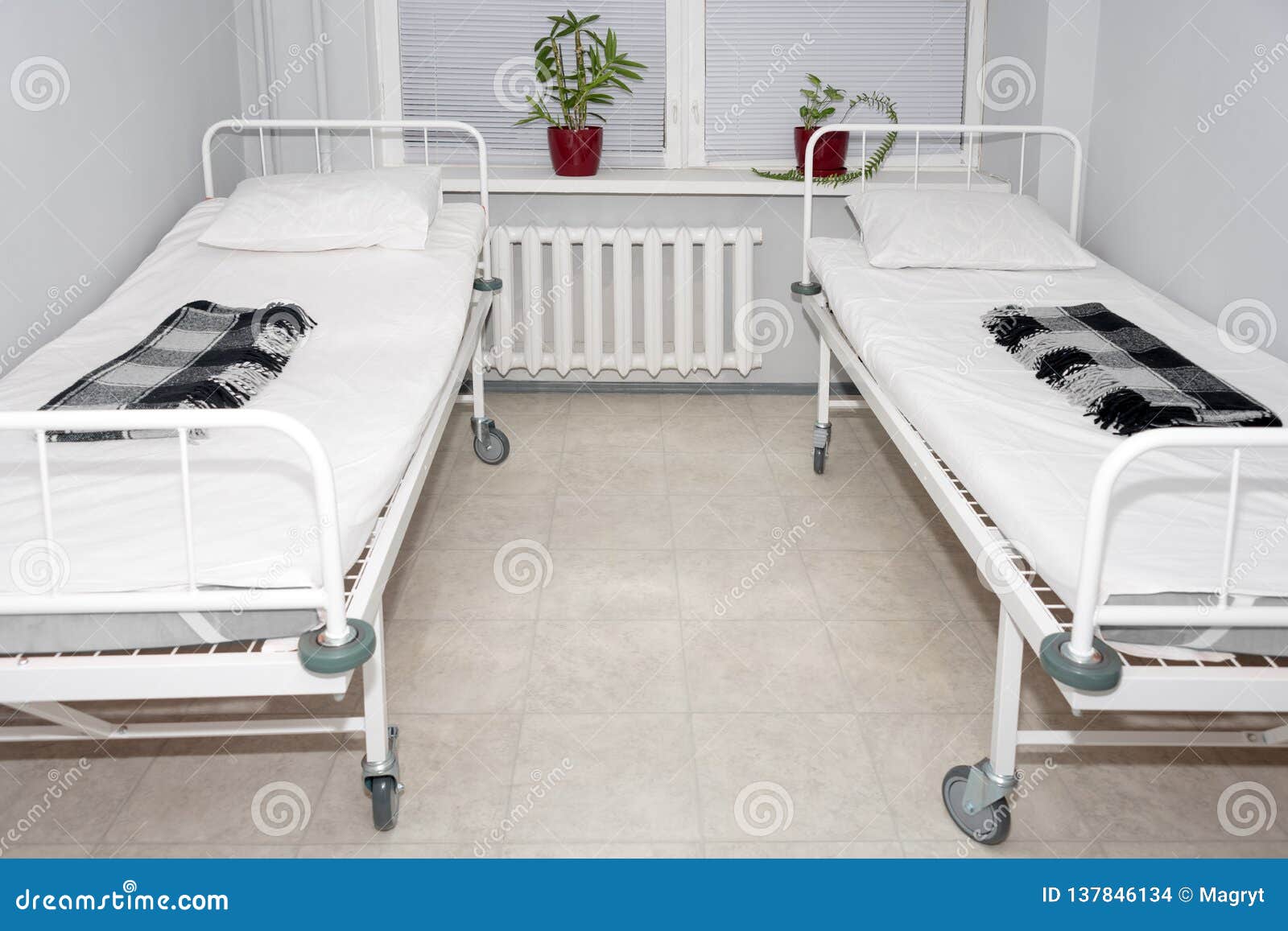 Clean Empty Hospital Room Ready for Patients. Empty Beds in Hospital ...