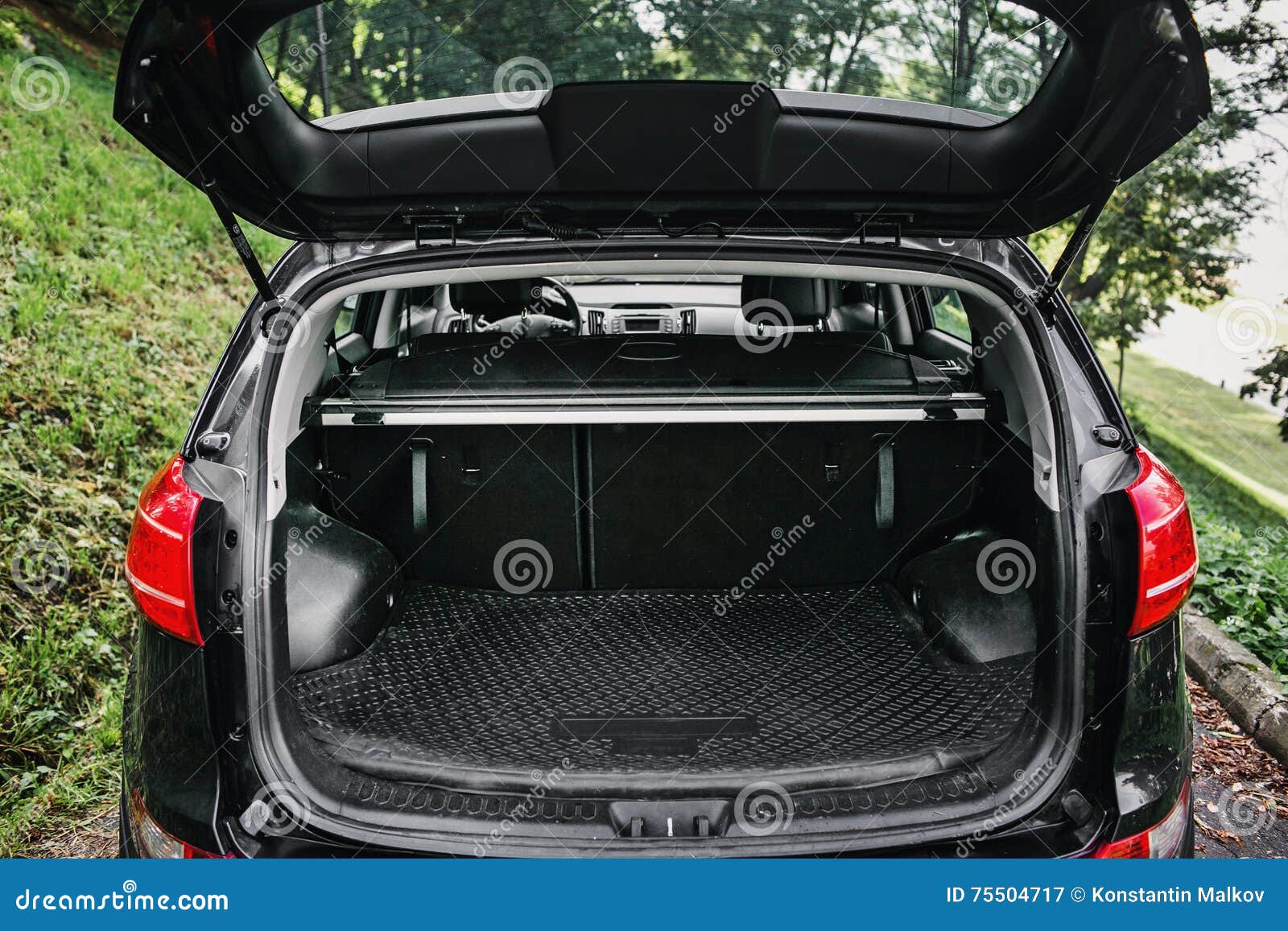 Clean Empty Trunk of Black Hatchback in a Forest Stock Image - Image of ...