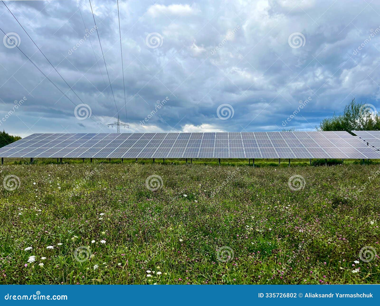 Clean Energy Against the Backdrop of Nature - Solar Panels and Ecology ...