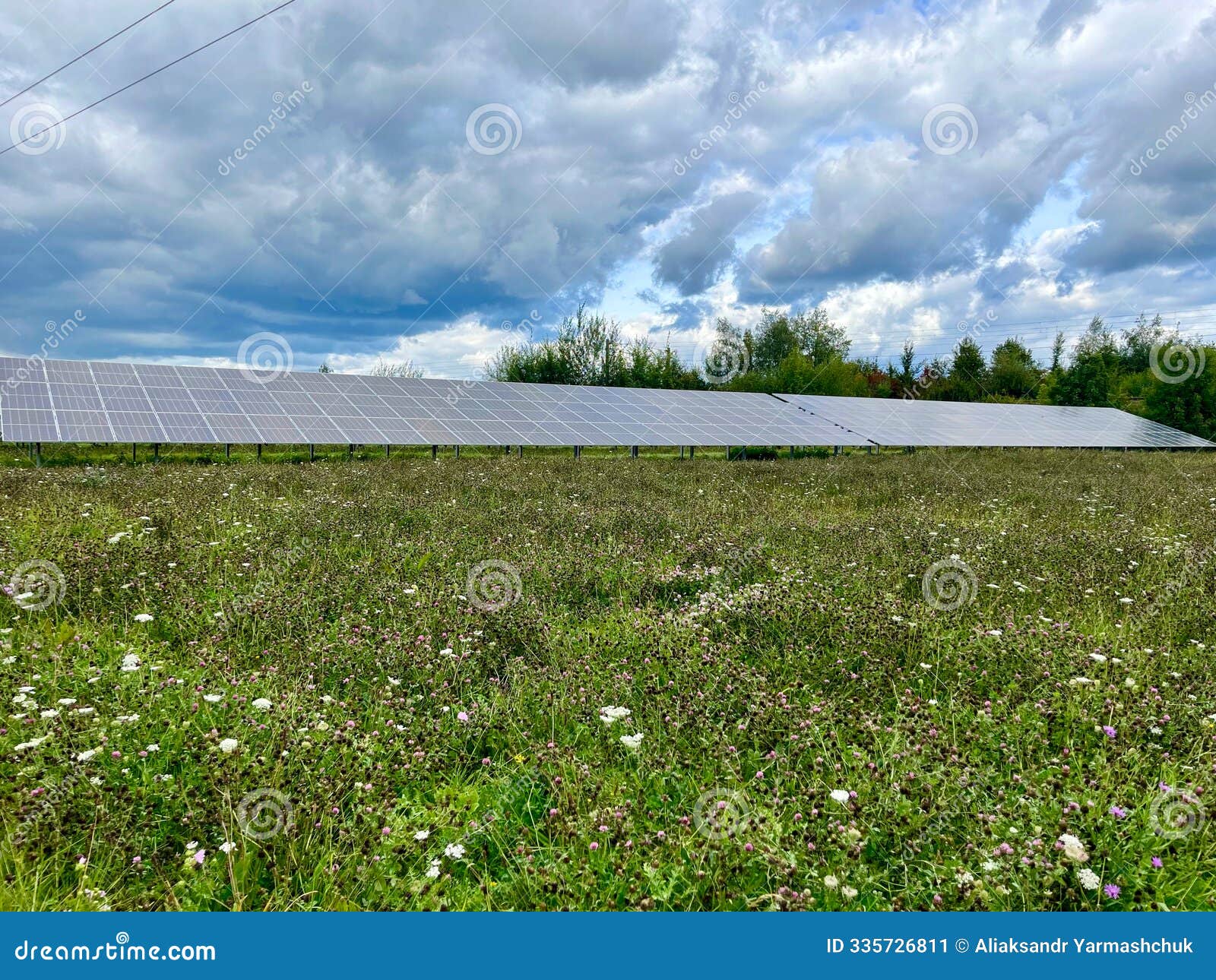 Clean Energy Against the Backdrop of Nature - Solar Panels and Ecology ...