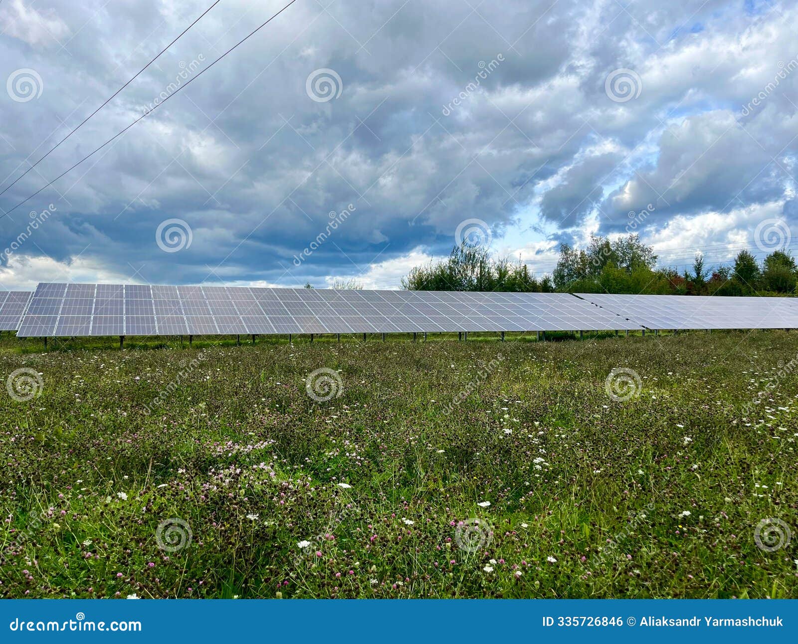 Clean Energy Against the Backdrop of Nature - Solar Panels and Ecology ...
