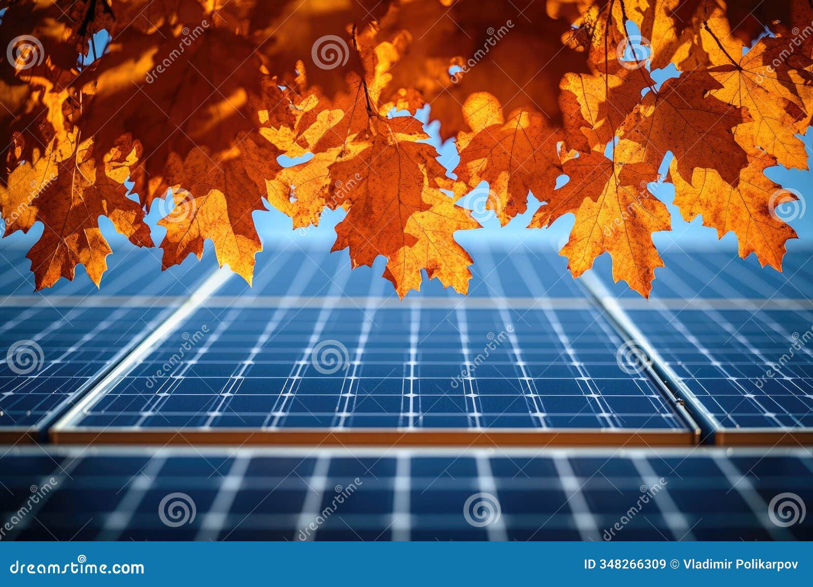 A Clean Energy Source with Natural Integration, Ideal for Eco-friendly ...