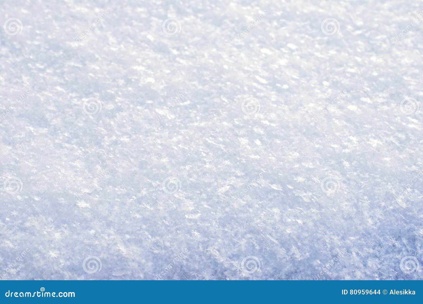 Clean fluffy snow surface. stock photo. Image of snow - 80959644