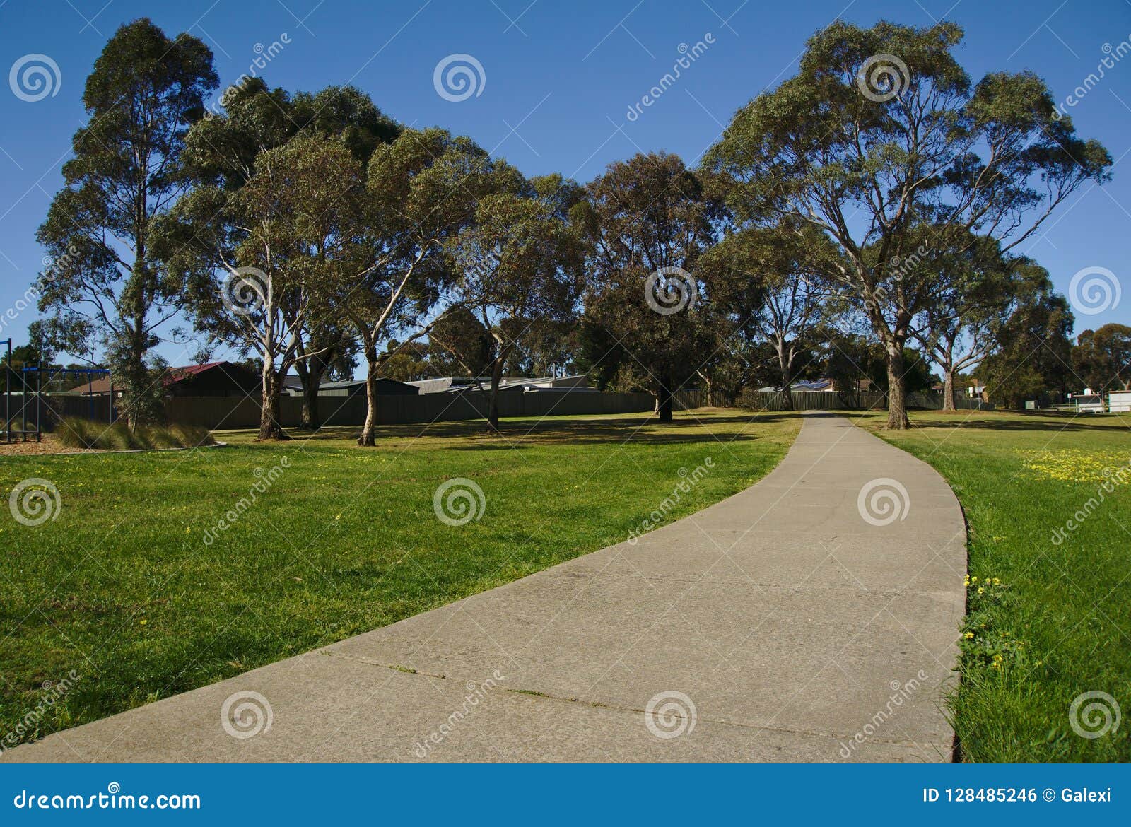 Clean Footpath in Public Park Stock Photo - Image of asphalt, lane ...