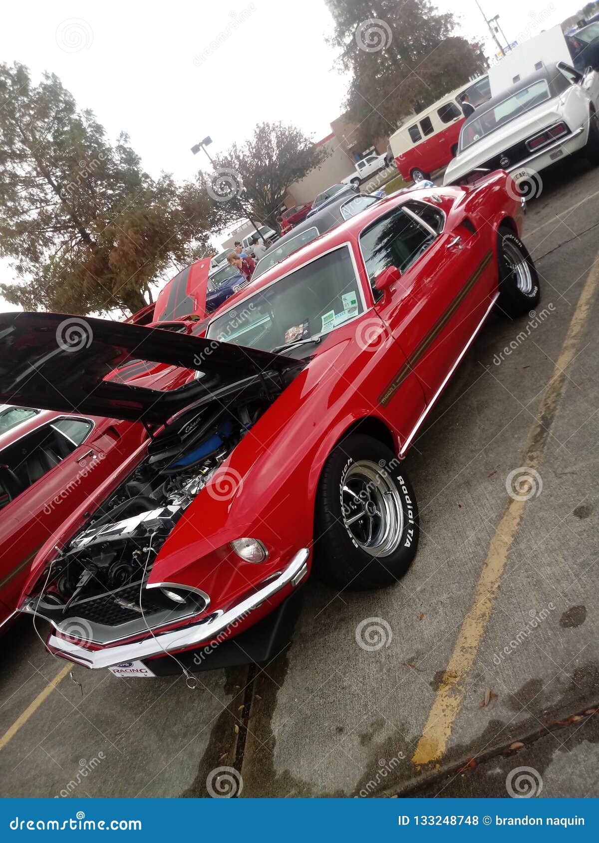Ford mustang editorial stock photo. Image of ford, mustang - 133248748
