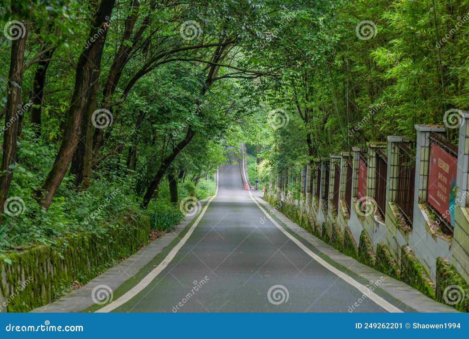 Straight road stock image. Image of natura, highway - 249262201
