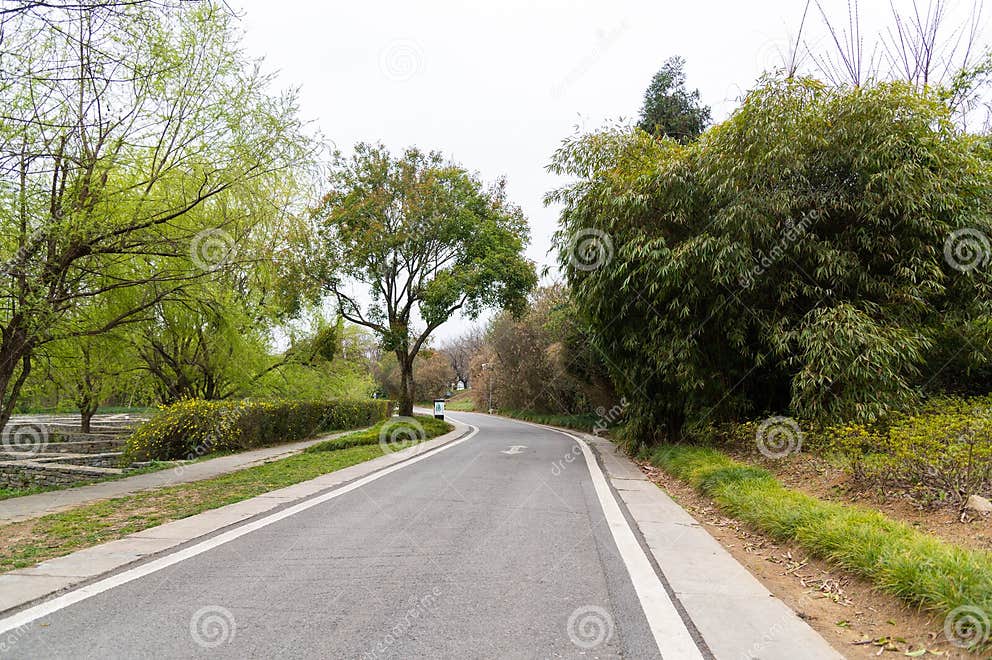 Road in spring stock image. Image of path, pathway, nature - 311643013