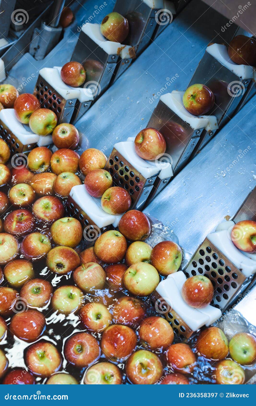Clean and Fresh Apples before Grating and Cutting in Food Processing ...