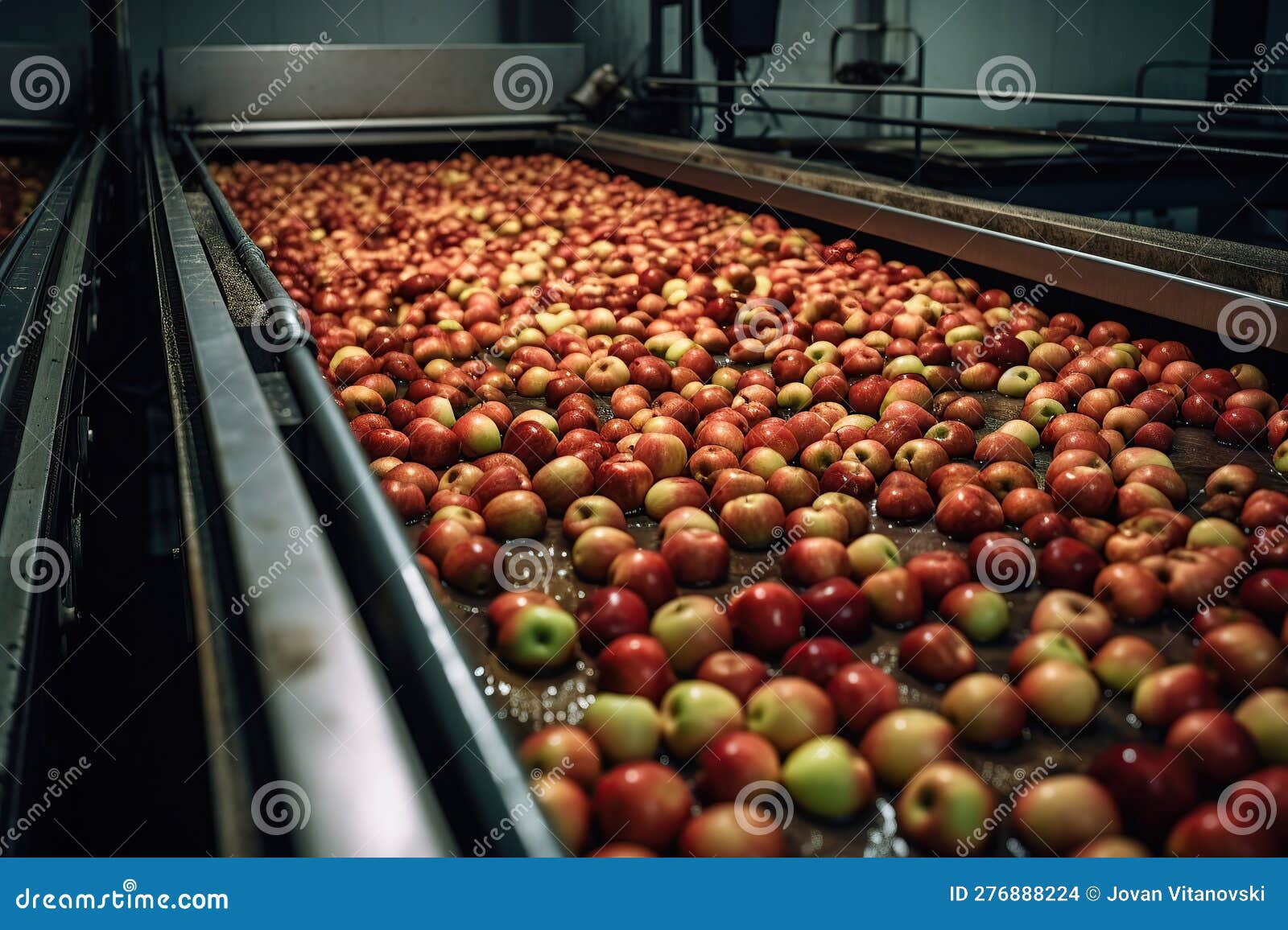 Clean and Fresh Apples before Grating and Cutting in Food Processing ...