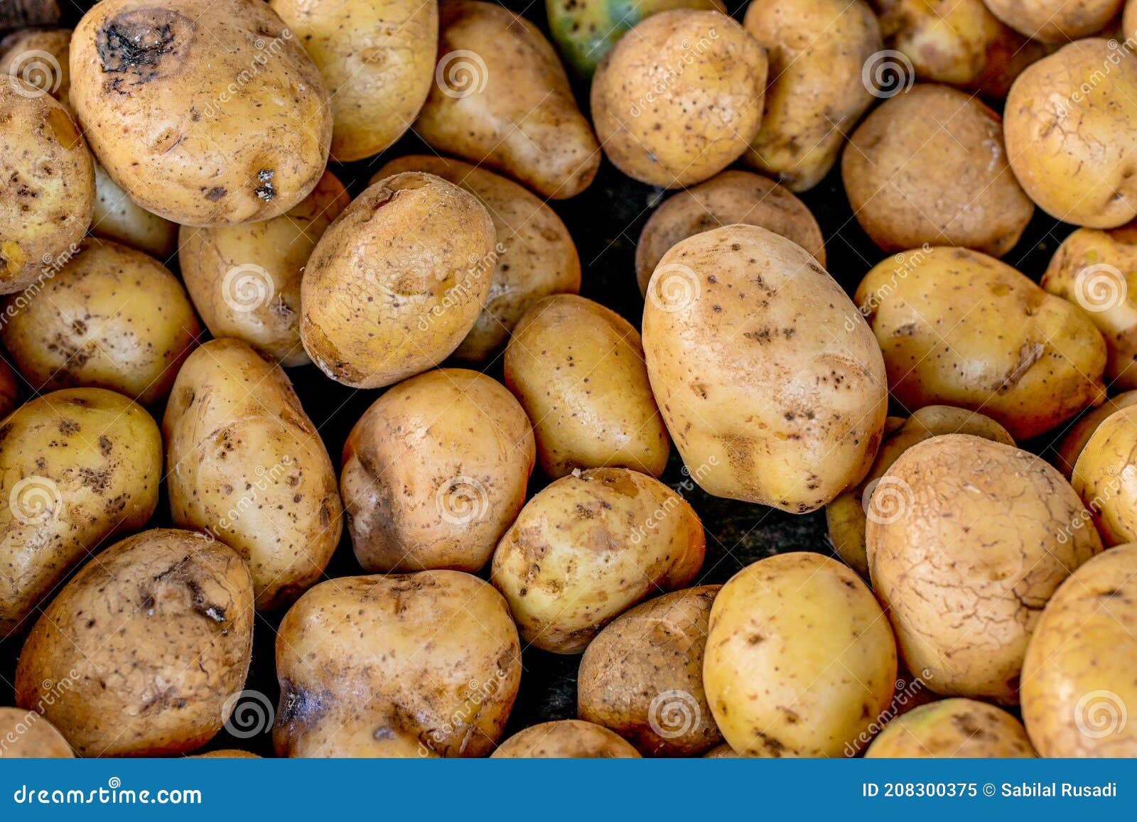 Clean, Fresh Bunch of Potatoes Stock Image - Image of fruit, breakfast ...
